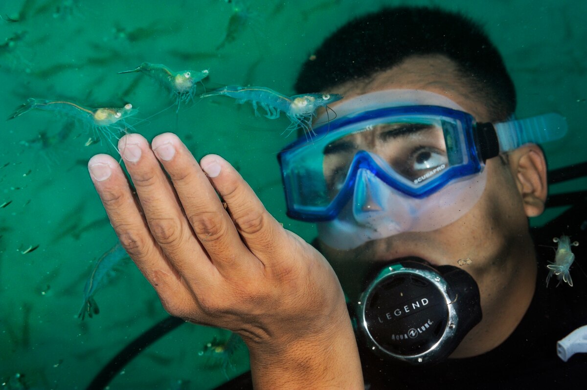 Finding Ways to Feed the Fish That Feed Us | National Geographic