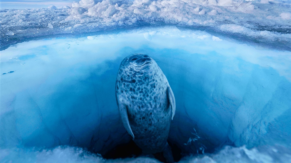 10 Breathtaking Pictures of Icy Worlds | National Geographic