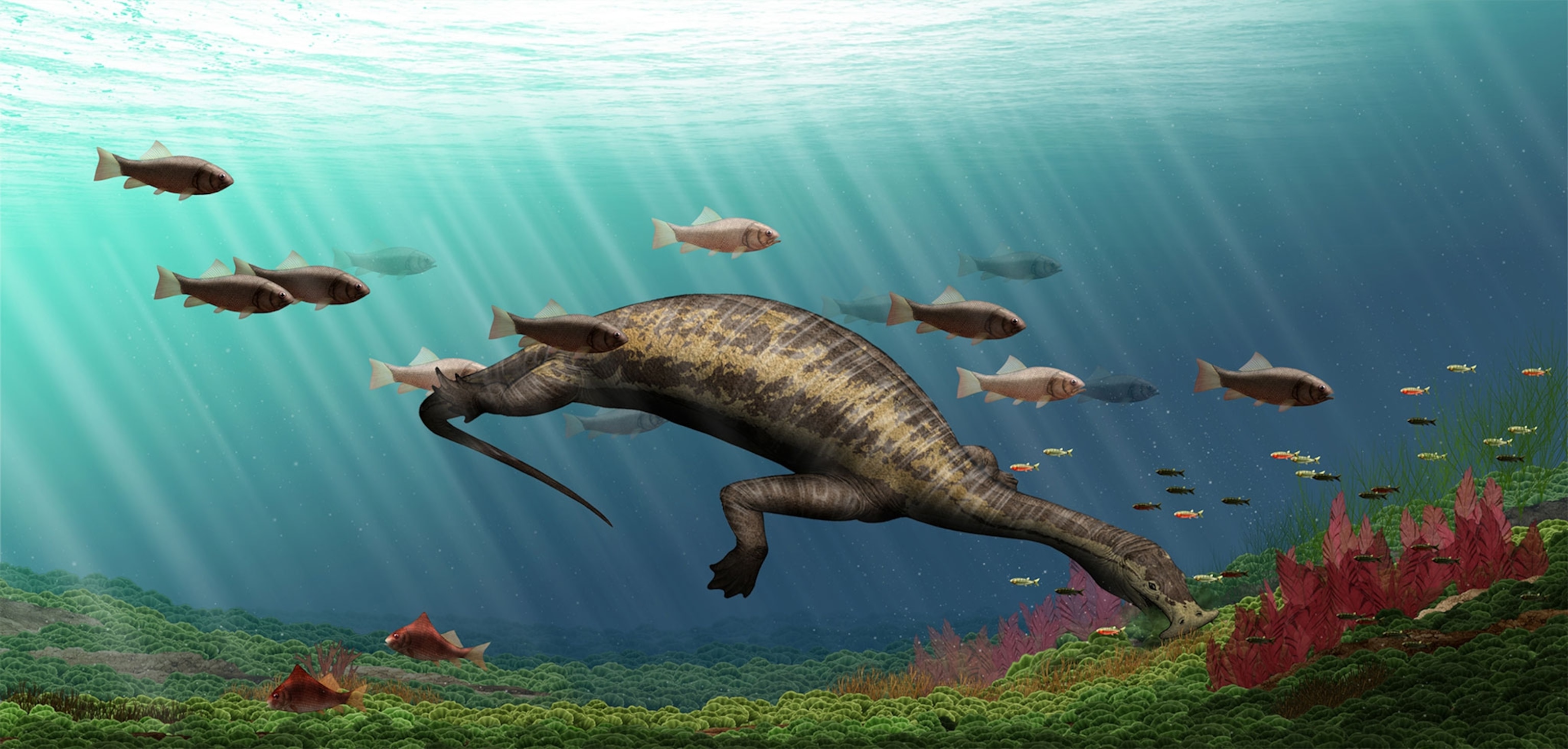 Ancient Reptile Ate Like an Underwater Lawn Mower | National Geographic