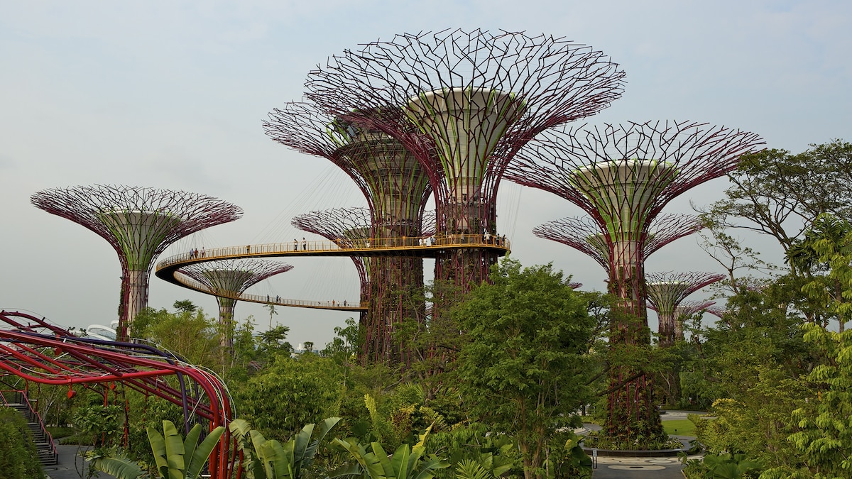 Singapore Travel Guide | National Geographic
