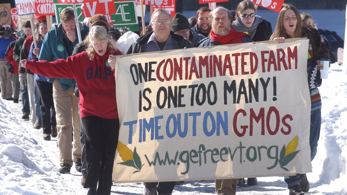 Food Debate Shifts As U.S. Considers ‘GMO-Free’ Label | National Geographic