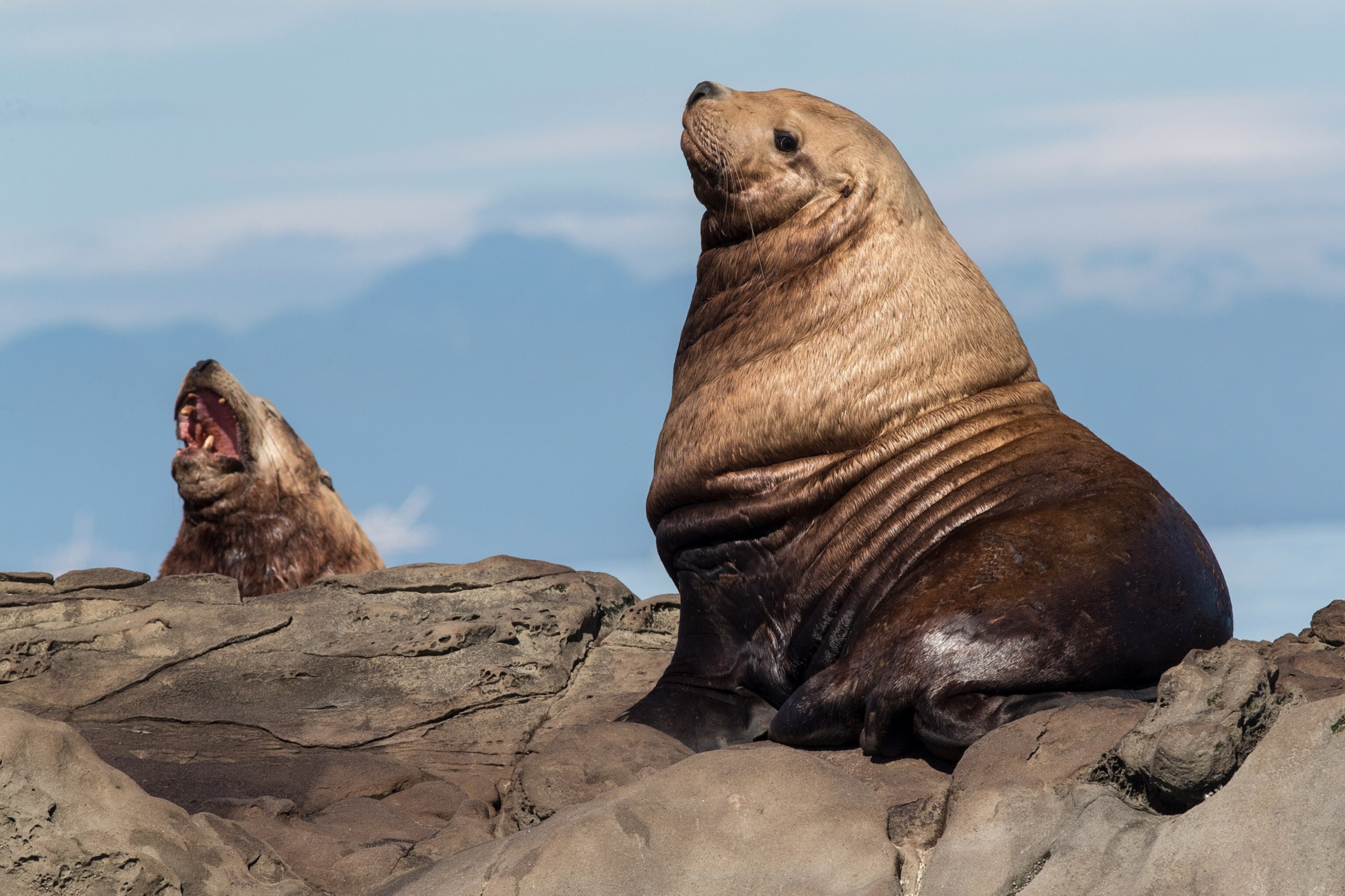 Forget the name. Desolation Sound is Canada’s best-kept secret.