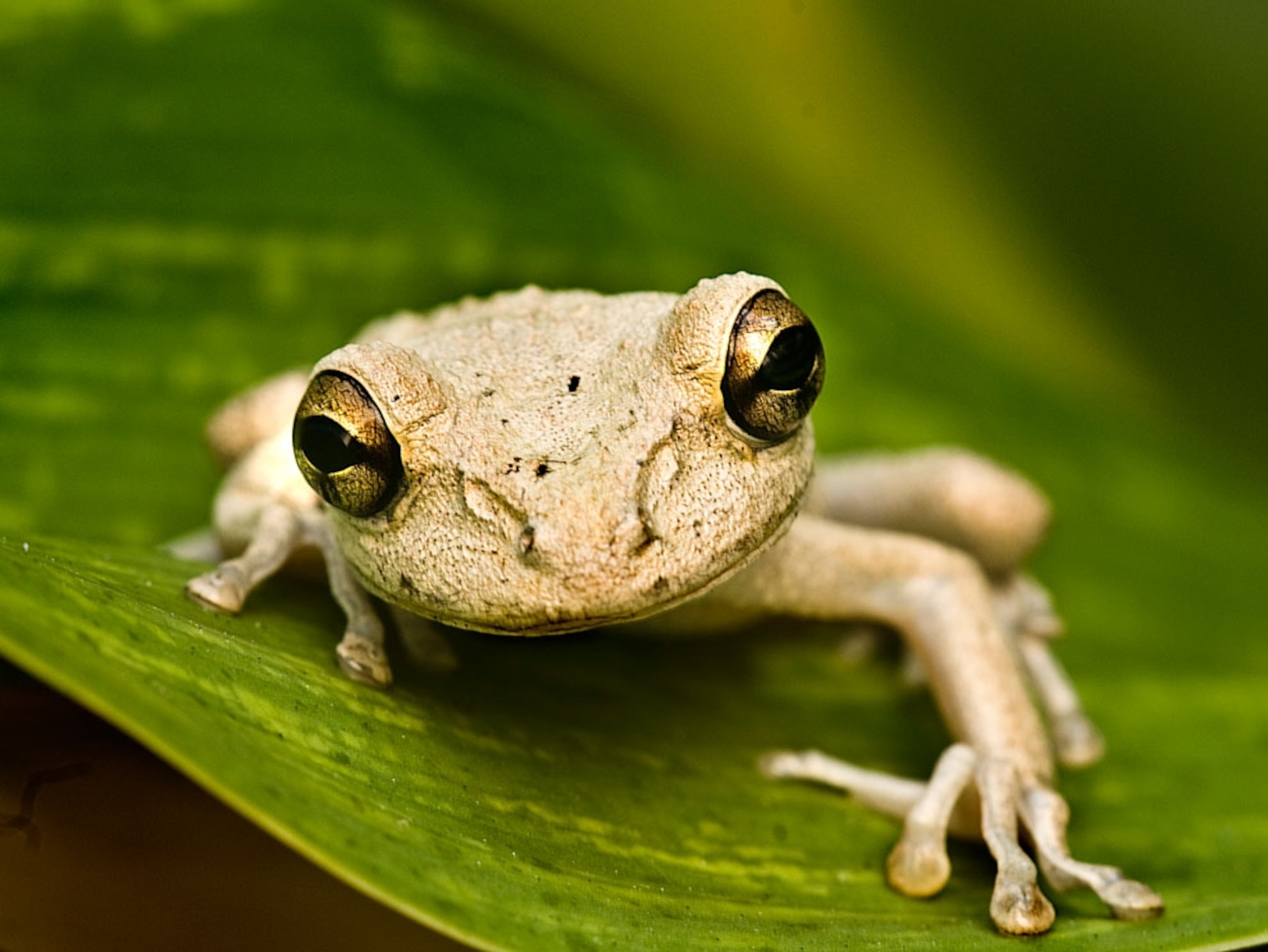 Nature Photos, Wildlife Pictures, Landscape Wallpapers -- National ...