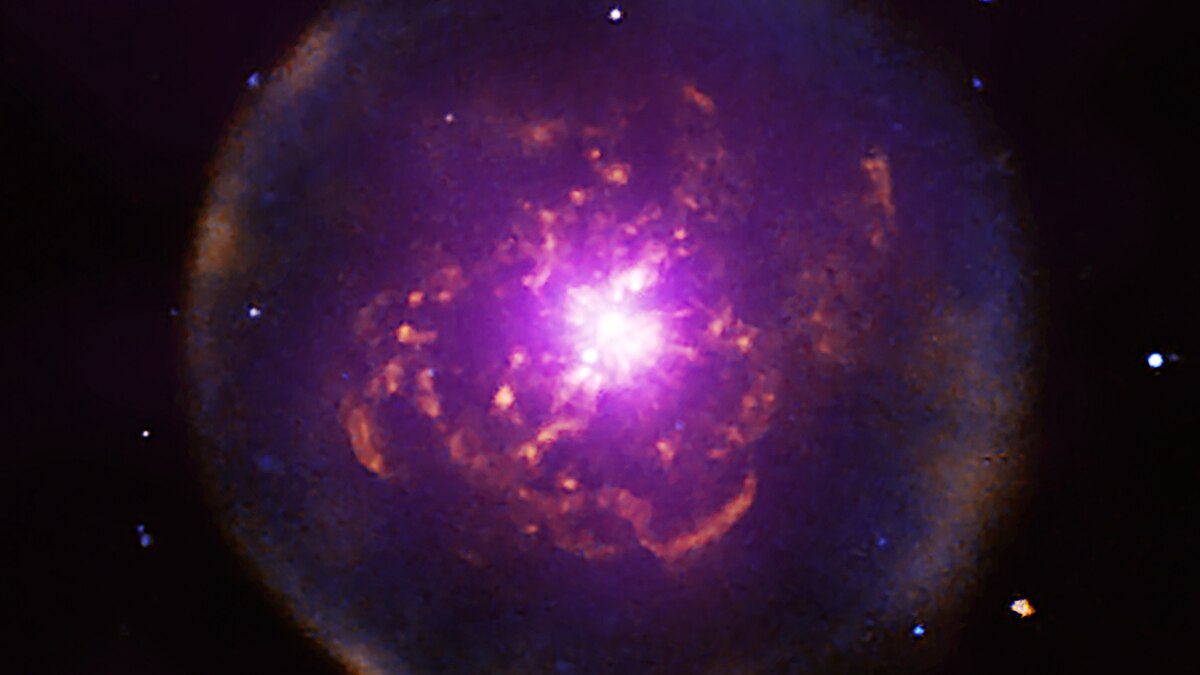 Could Our Sun Become a "Zombie" Star? | National Geographic