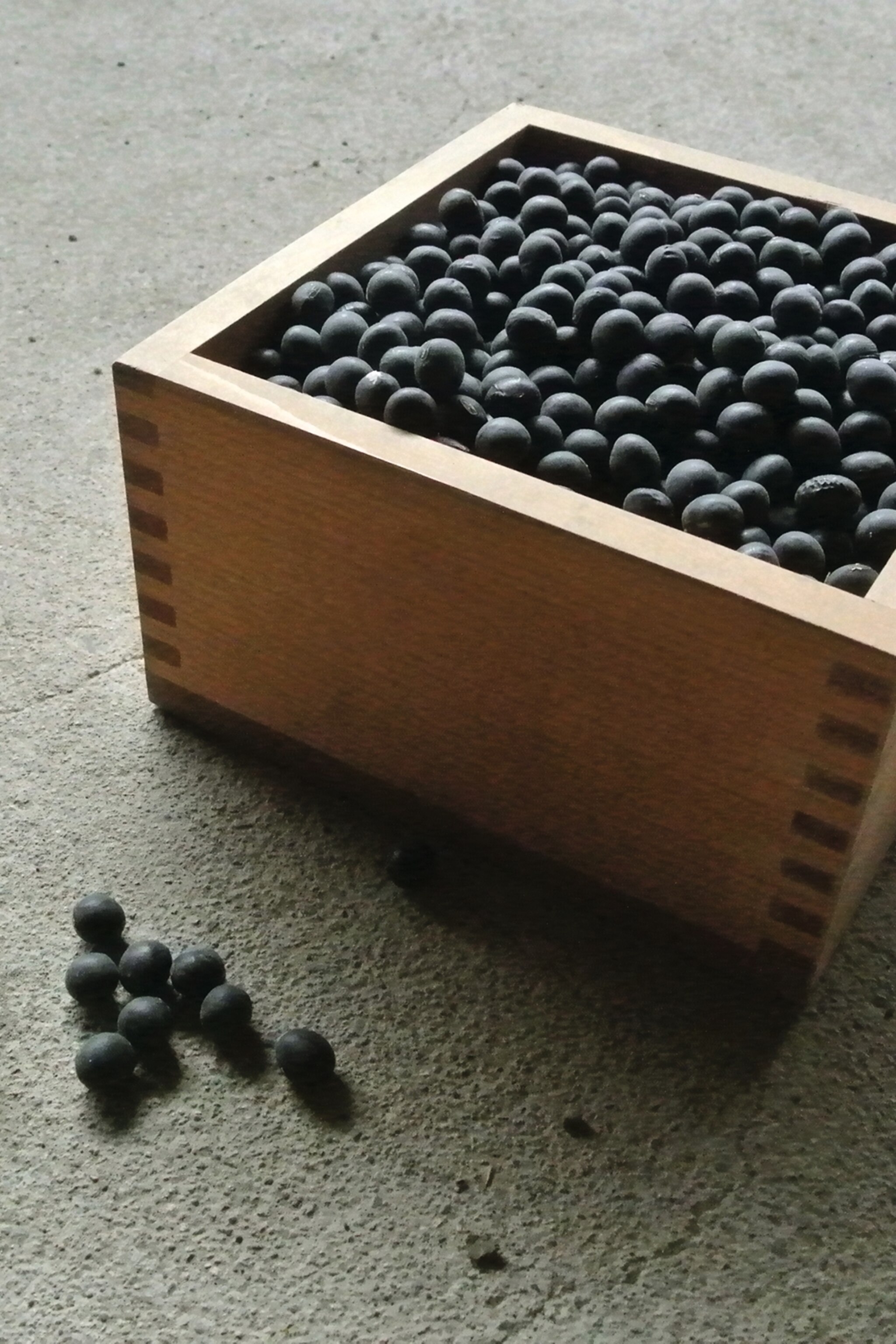 14 of the best cultural experiences in Kansai