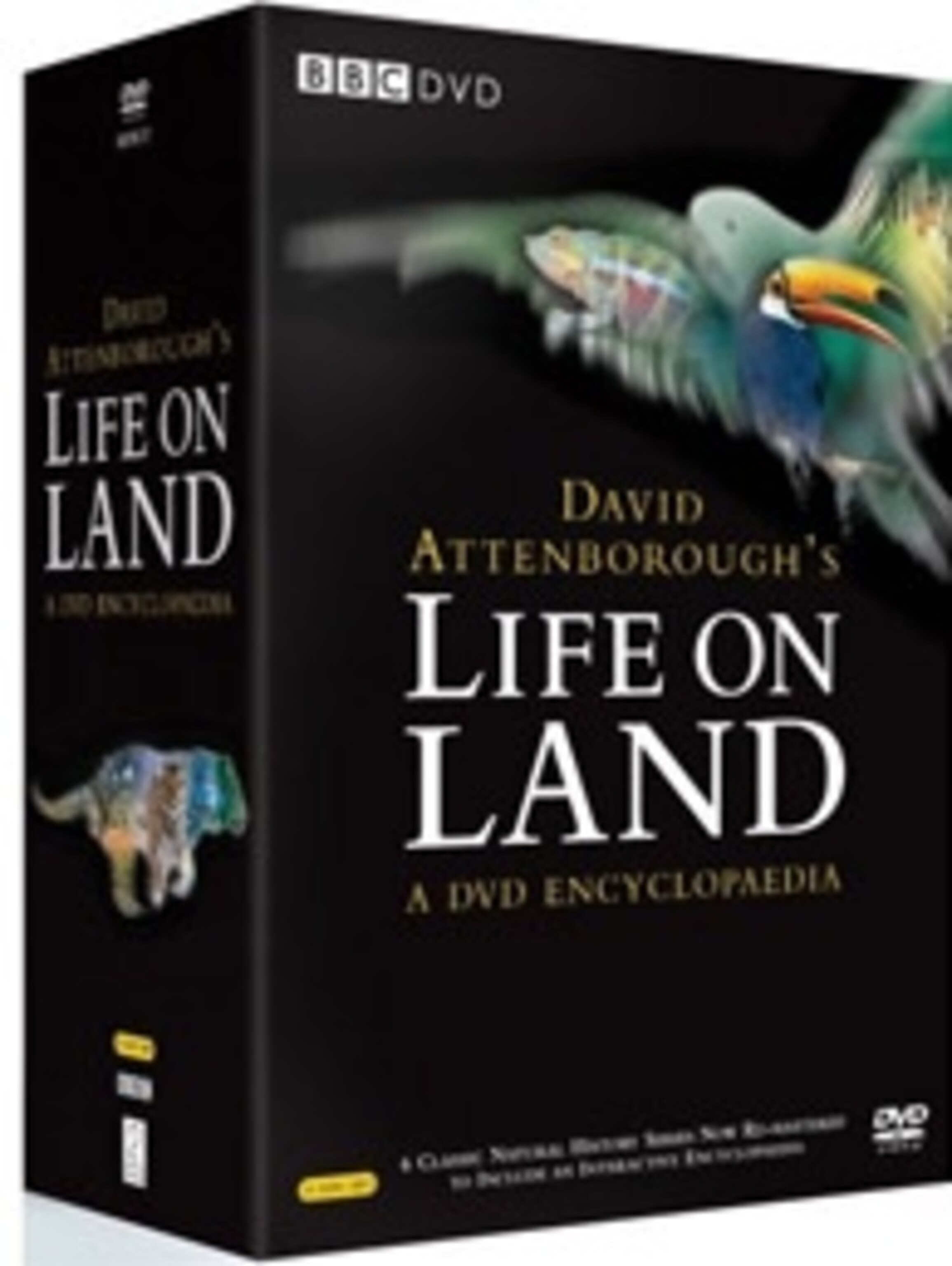 An interview with David Attenborough