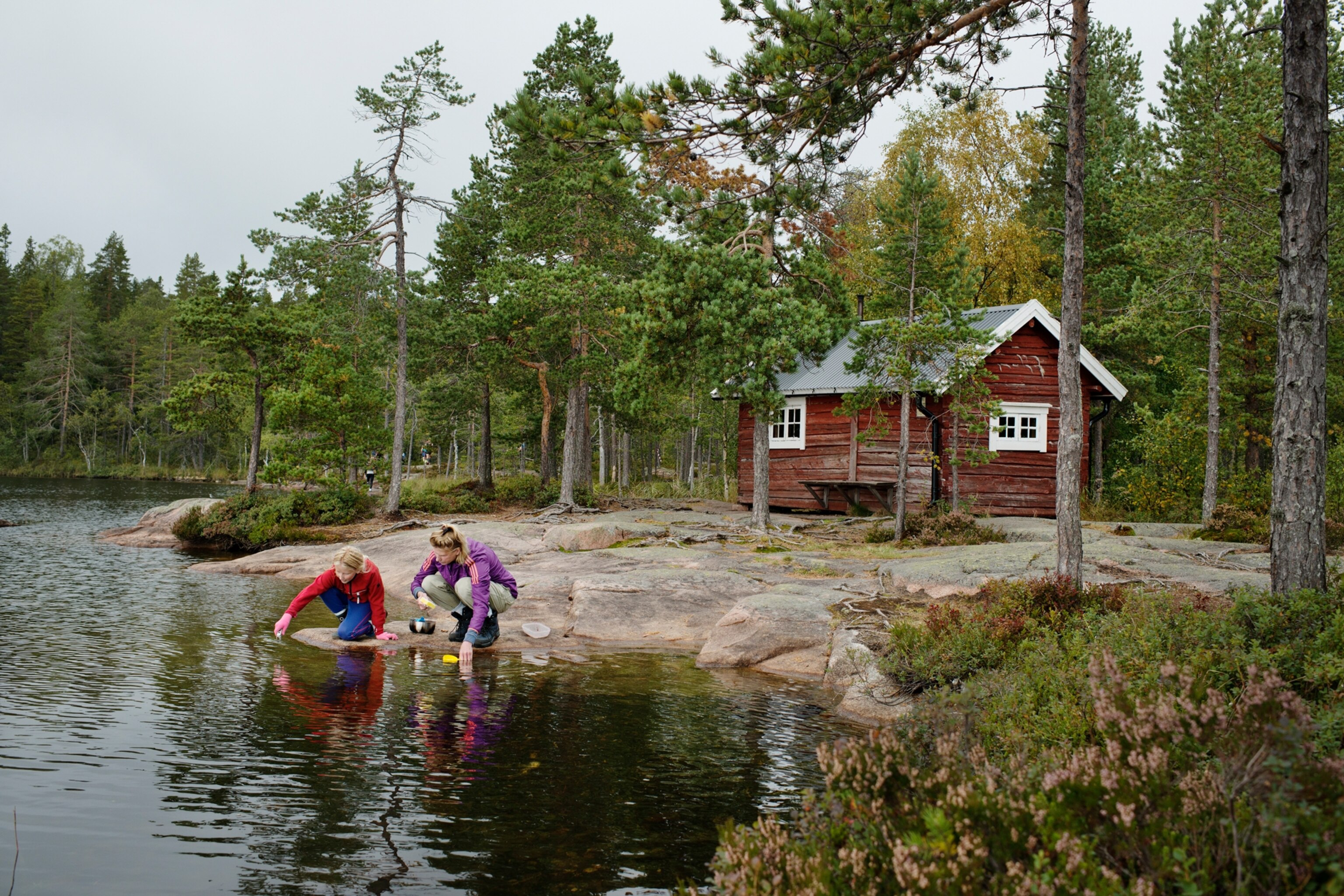 At these free cabins, Sweden goes wild