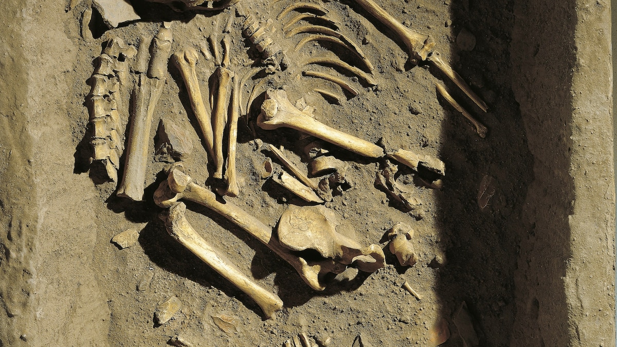Neanderthal Burials Confirmed as Ancient Ritual | National Geographic
