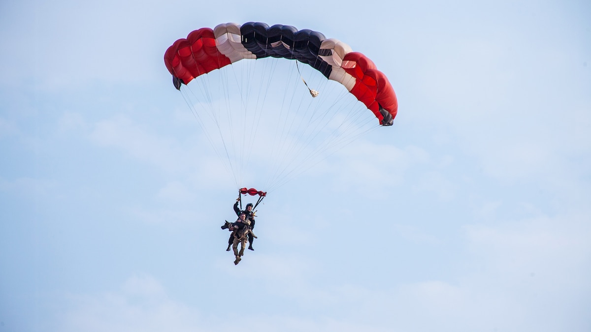 Dogs Are Now Skydiving to Help Save Wildlife | National Geographic