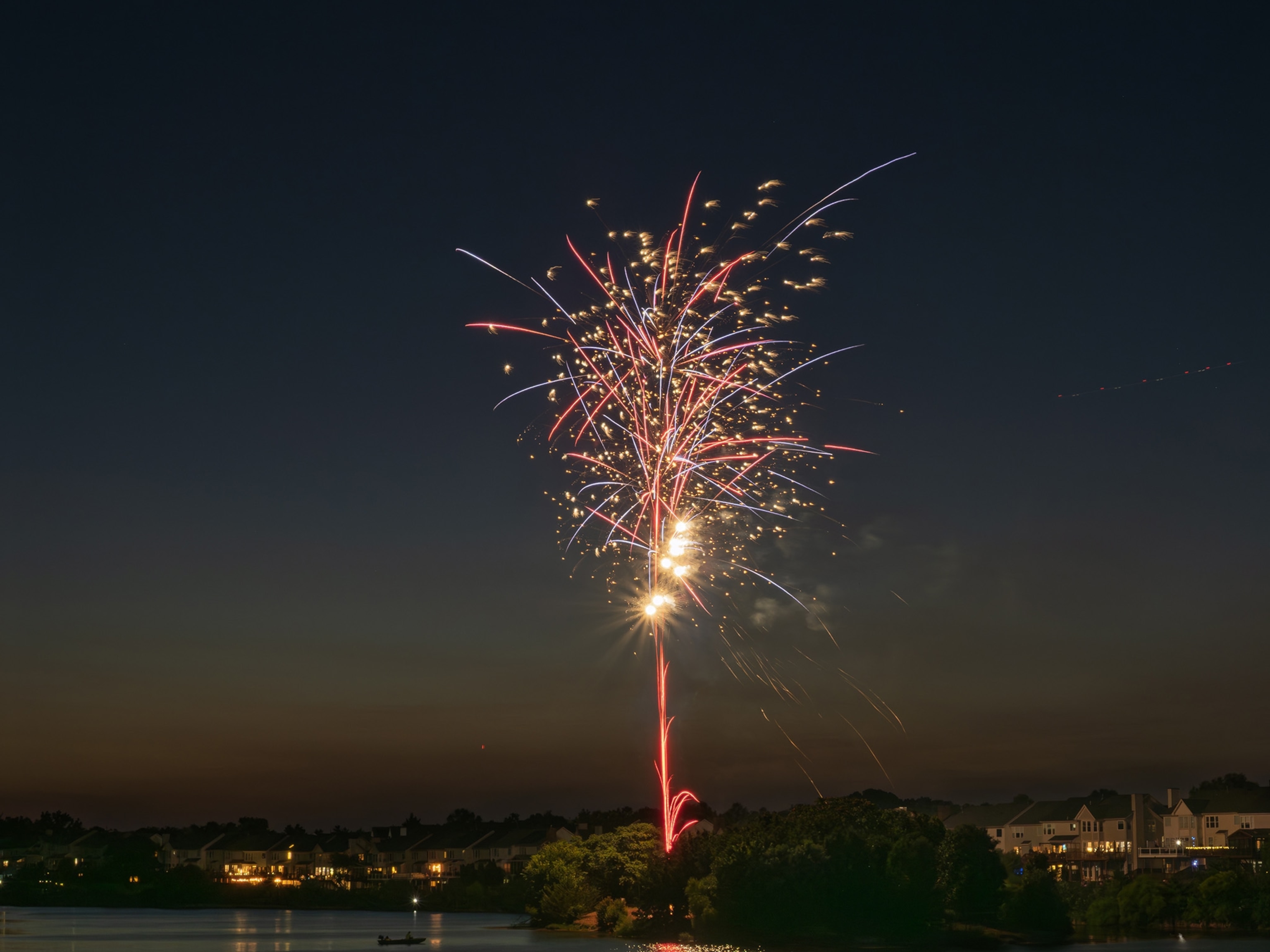 Why fireworks can be a death sentence for wildlife | National Geographic