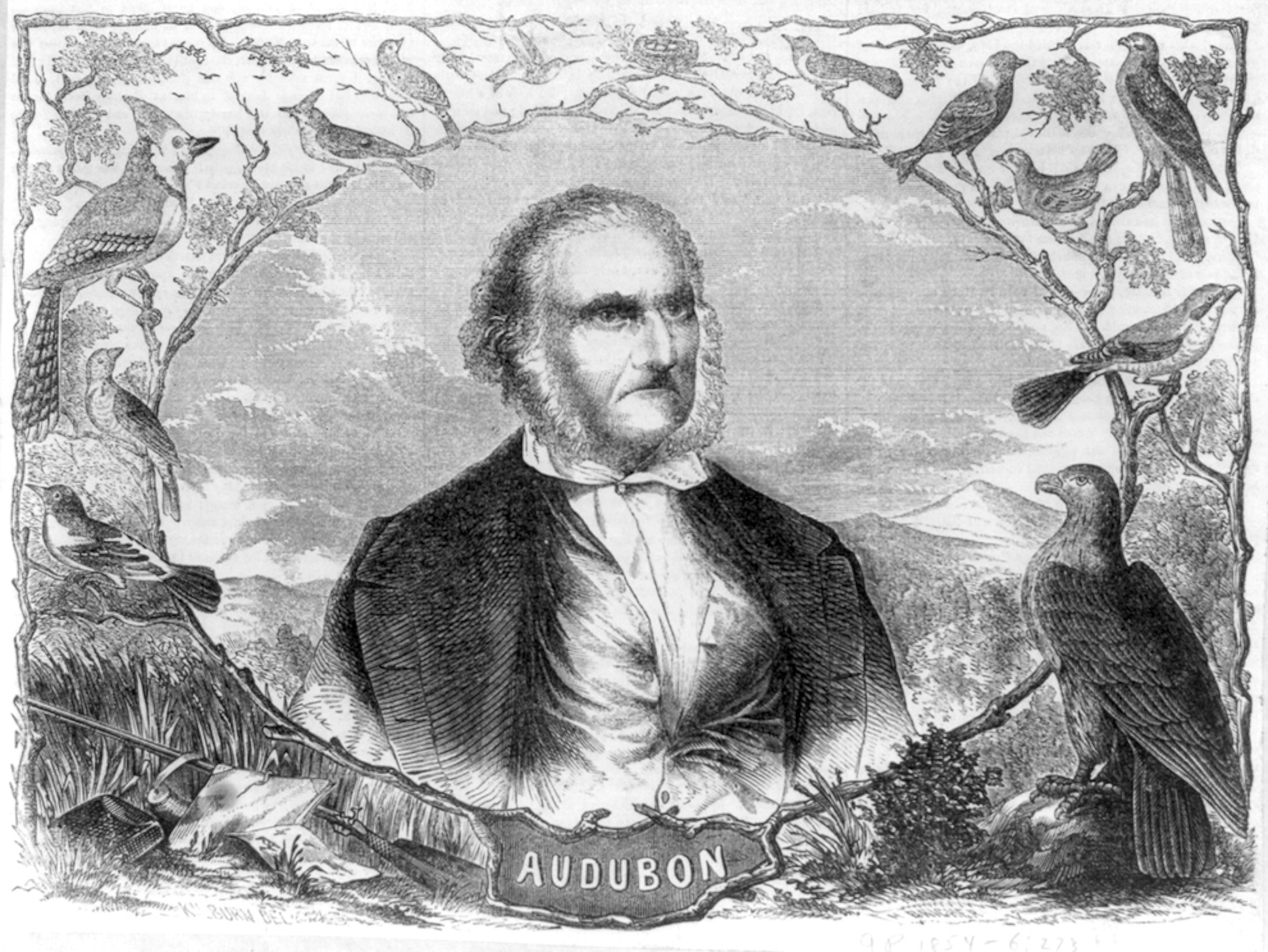 John James Audubon: Why Birds Flock Around Google's Doodle