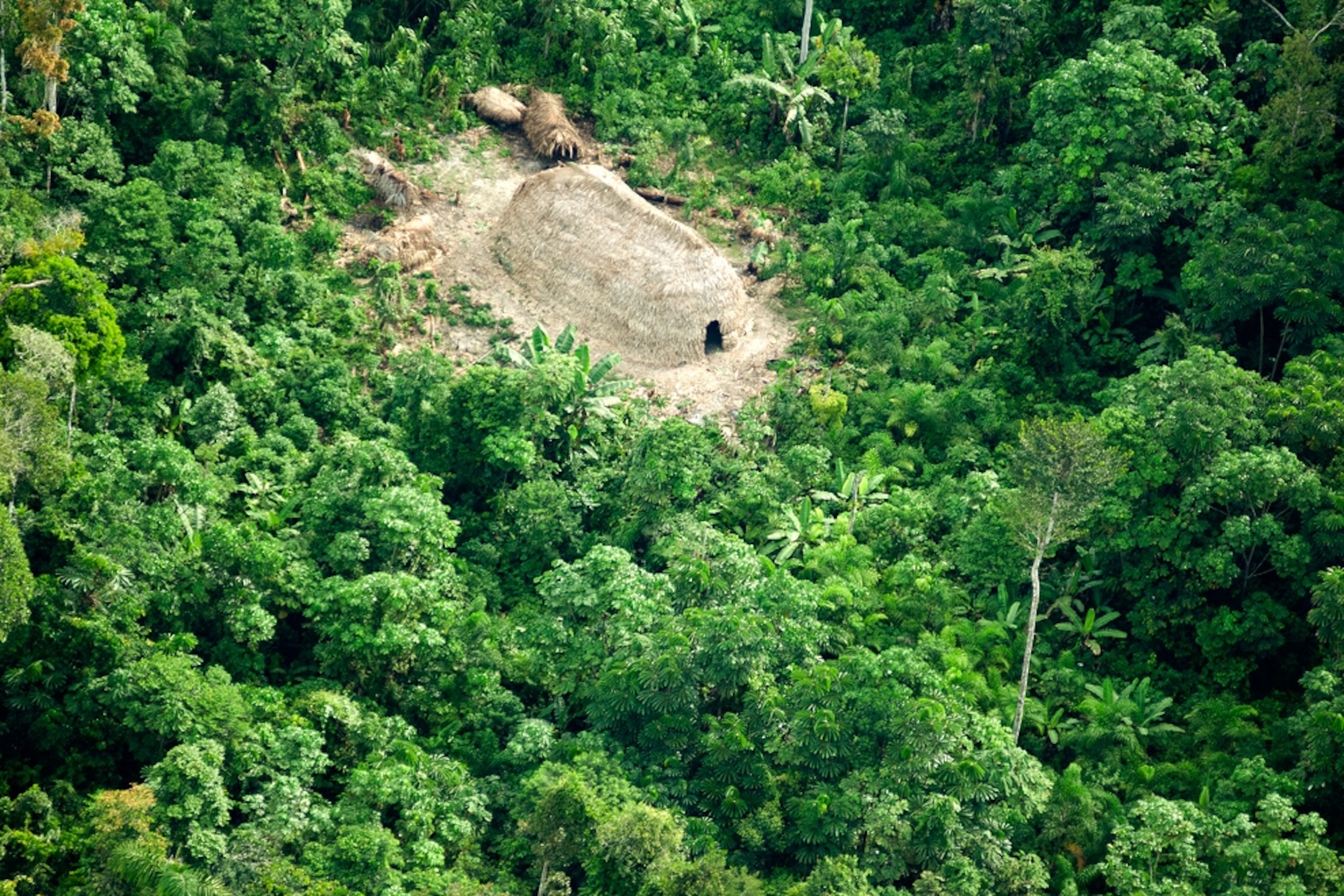 Pictures: New "Uncontacted" Tribe Found in Amazon