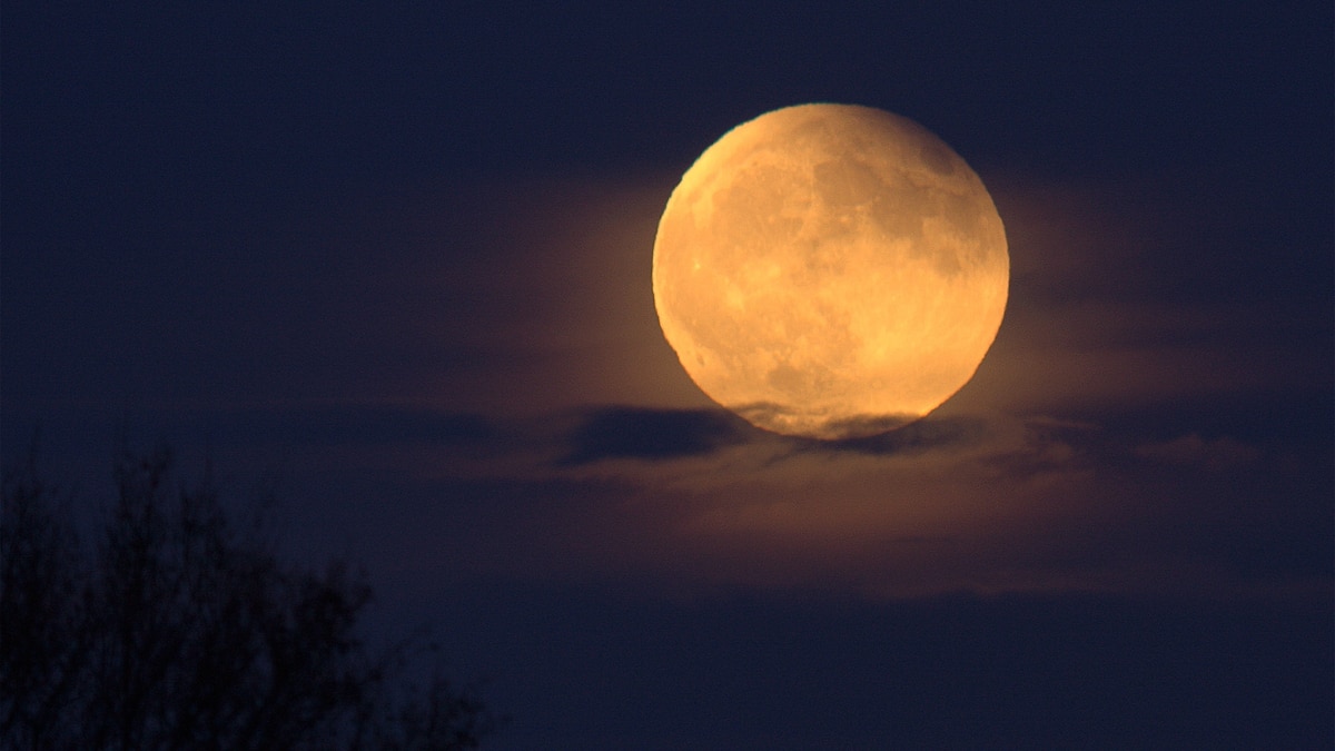 Watch the Lunar Eclipse Live | National Geographic