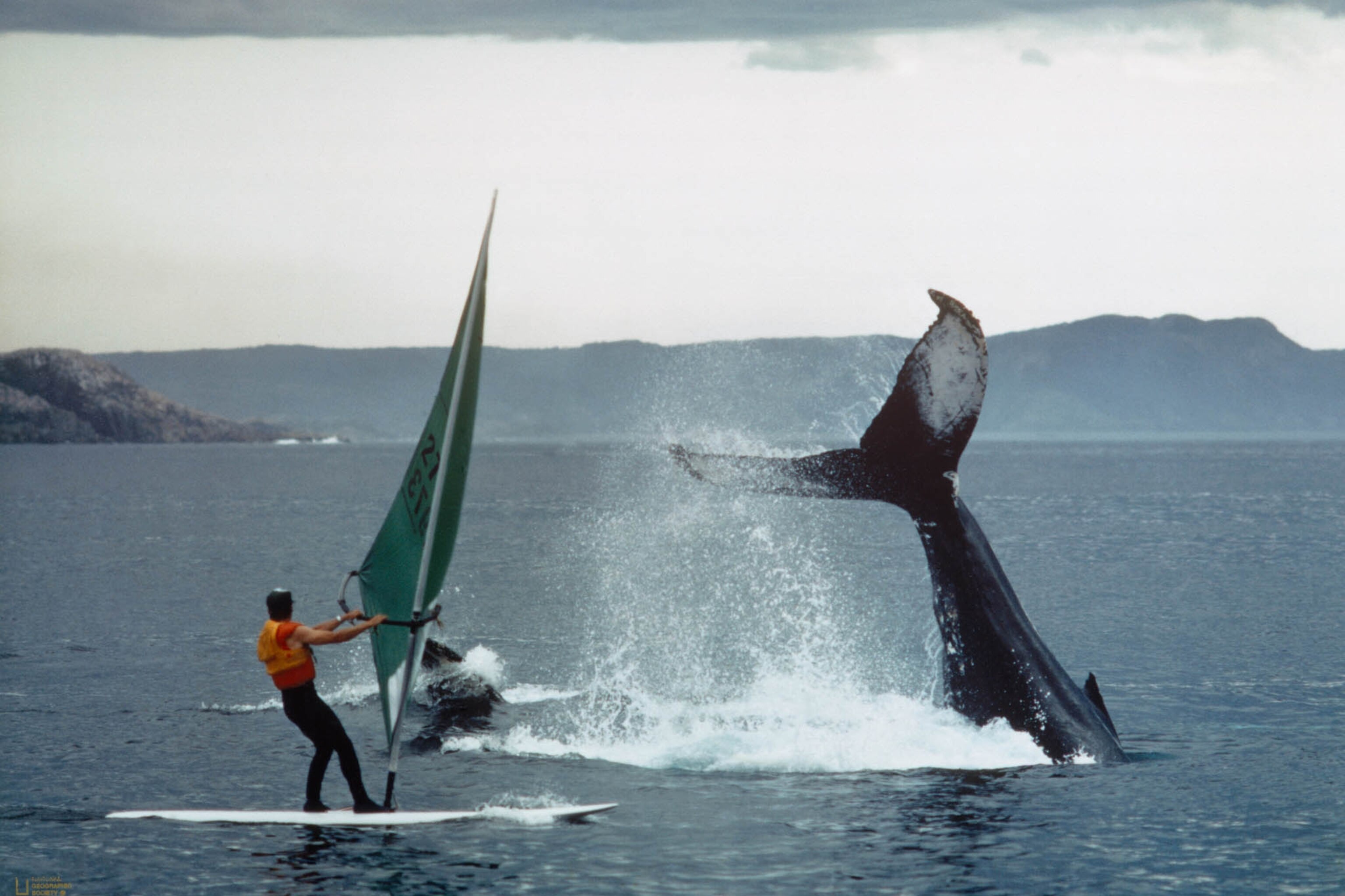 31 breathtaking photos found in the Nat Geo archives