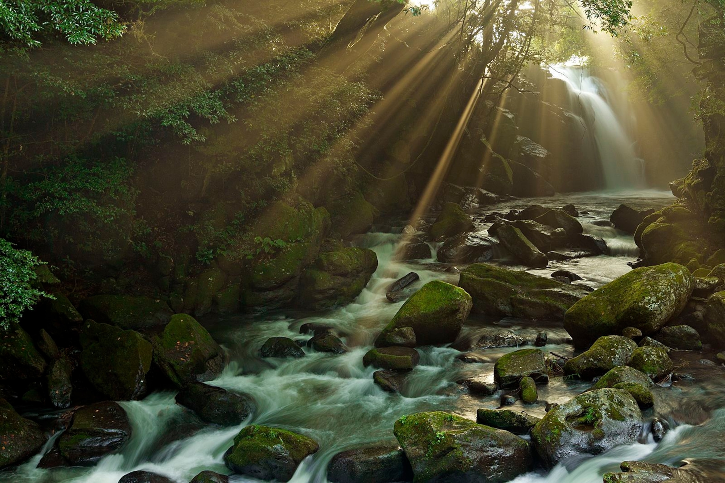 Your Waterfall Pictures