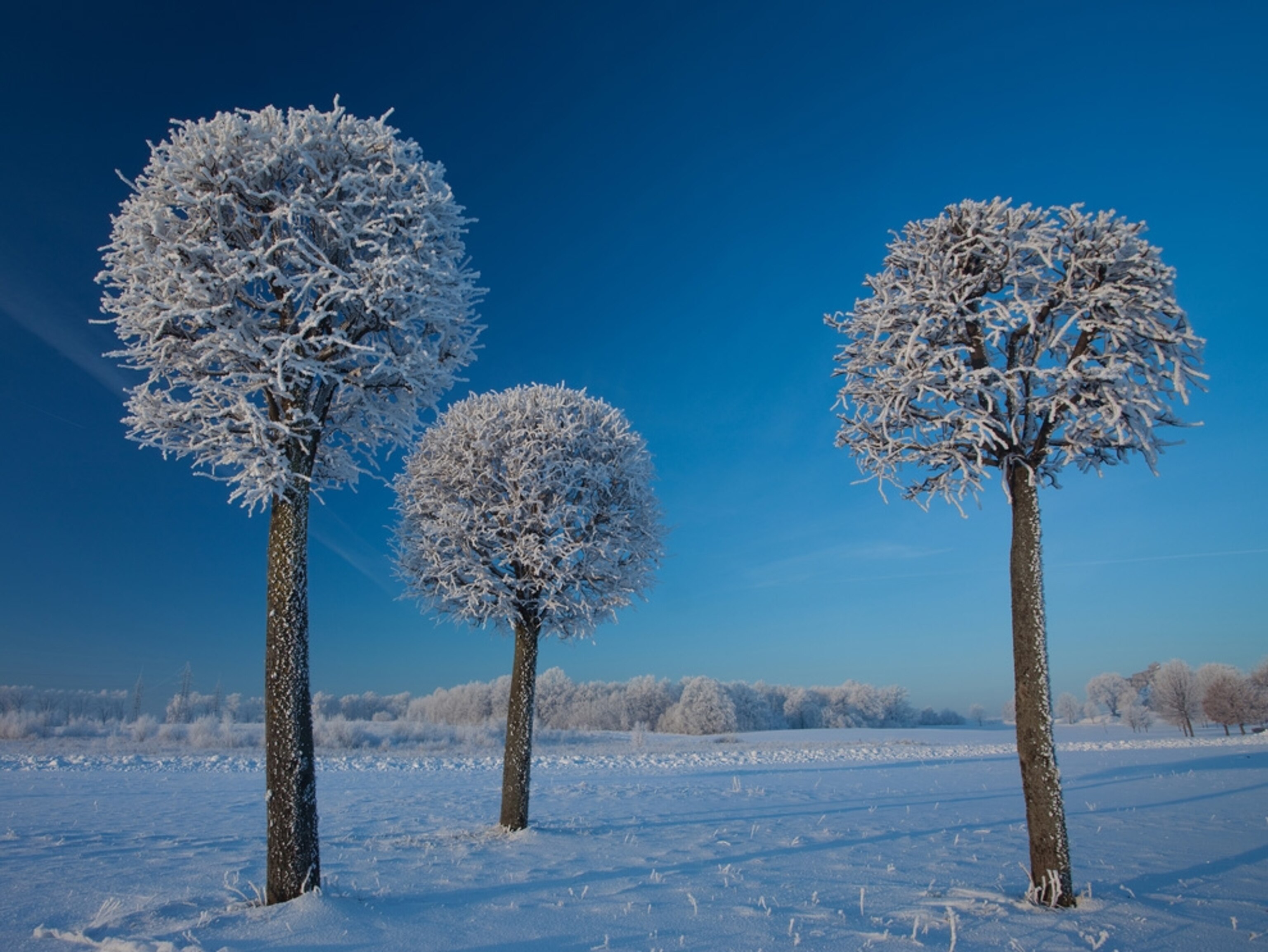 Pictures: Winter Landscapes