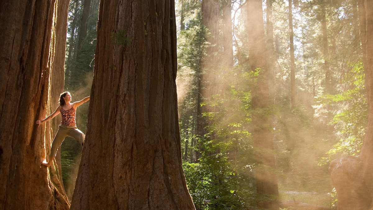 6 Ways to Spark Your Creativity | National Geographic