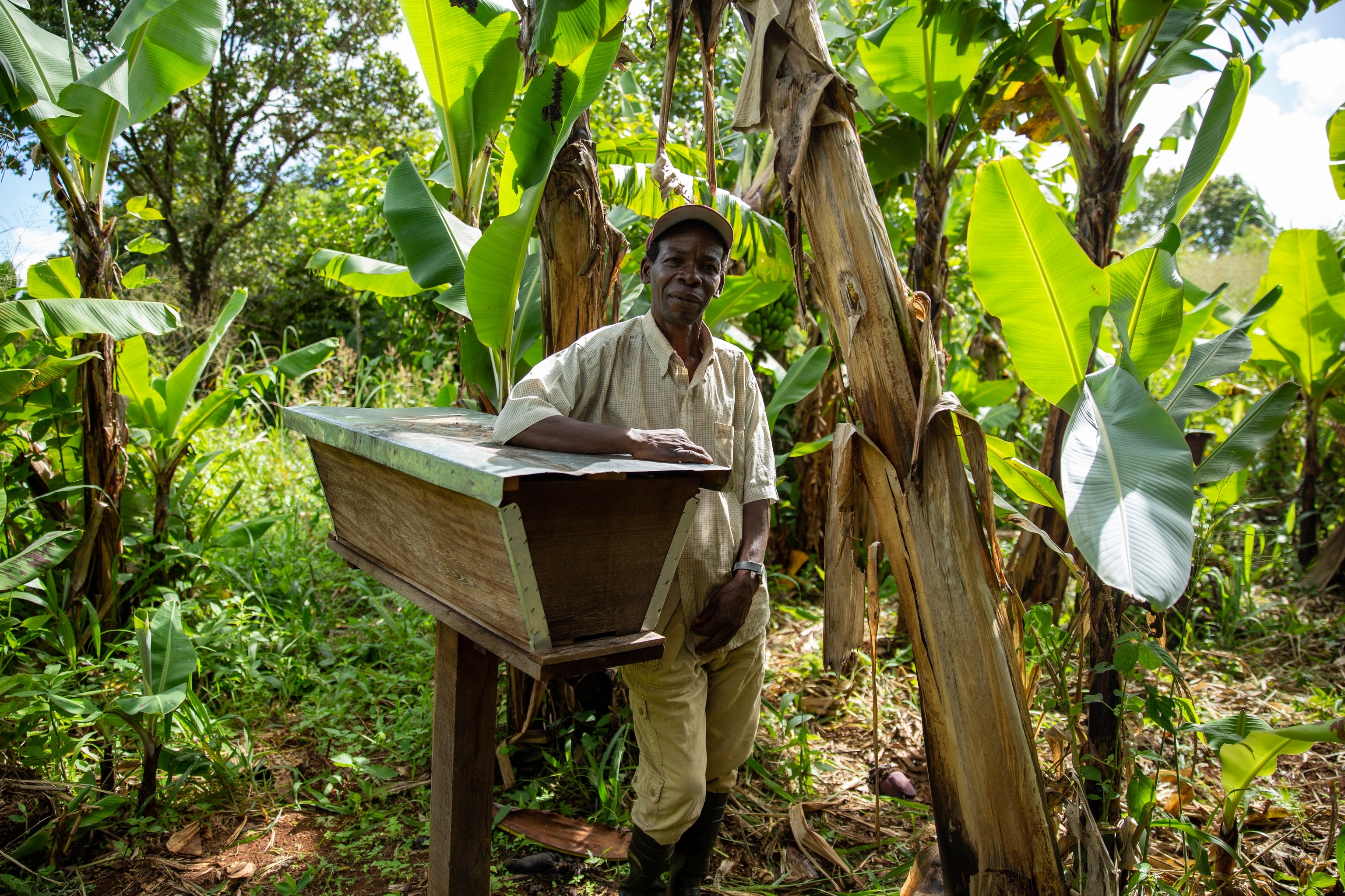 Okavango Eternal: Year one