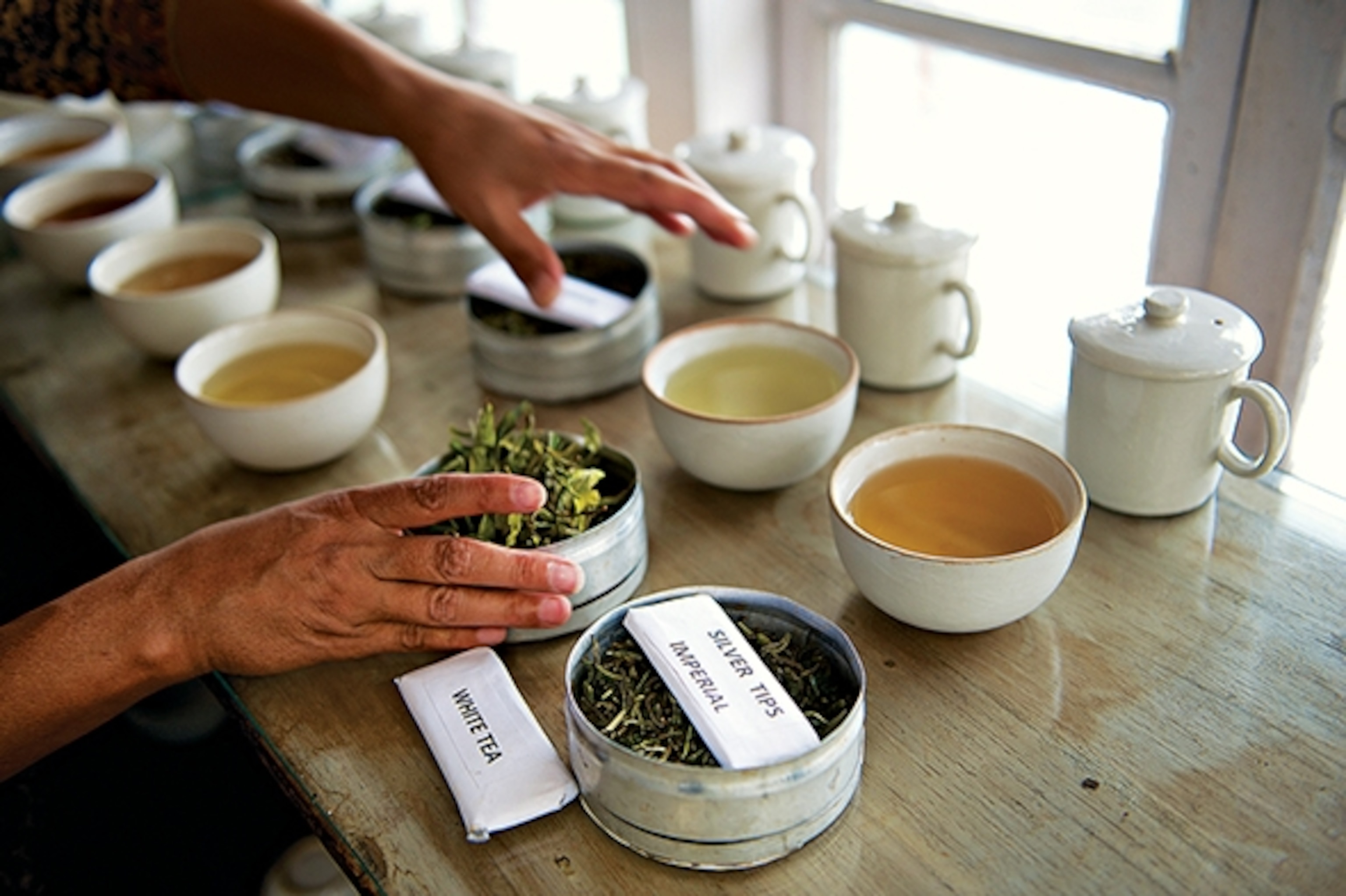 Insider’s Guide to Darjeeling