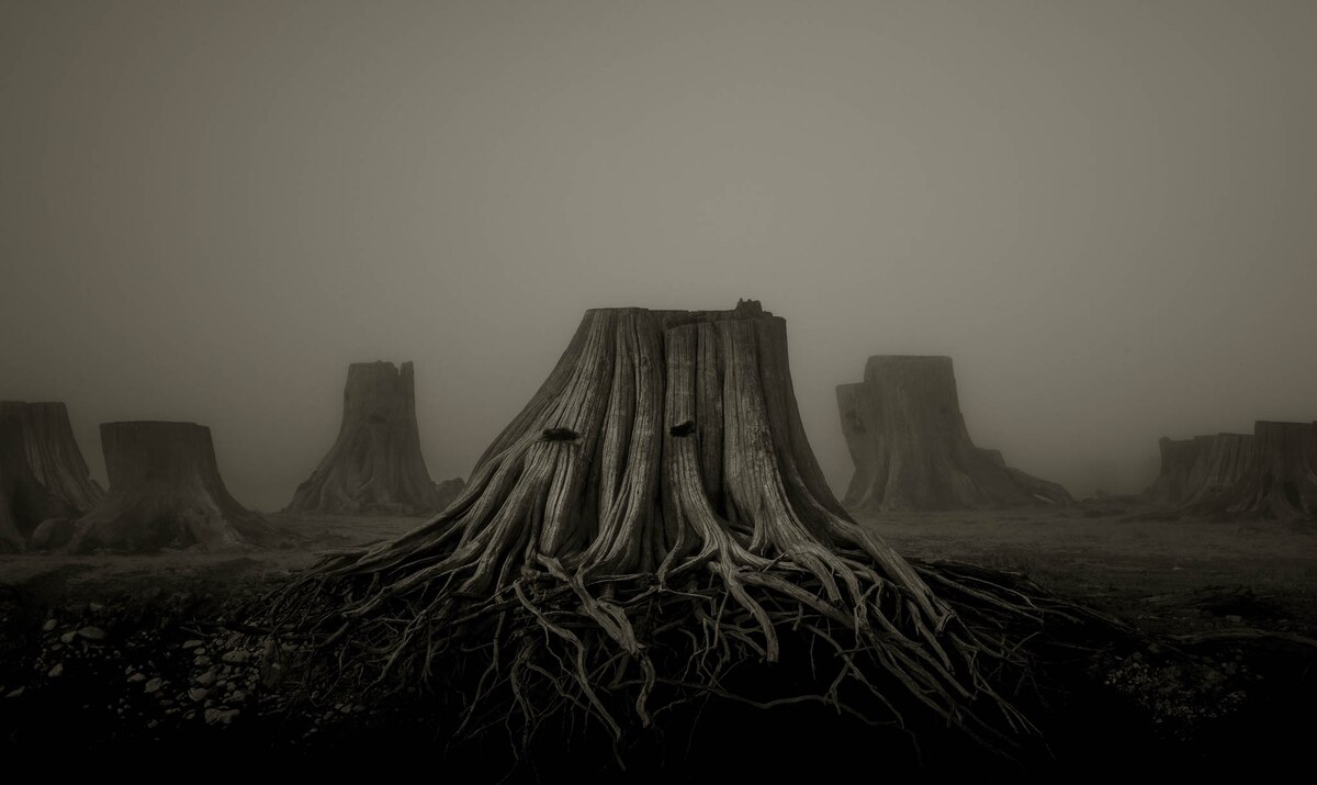 Spooky Tree Stumps Remind Us Why We Need Earth Day