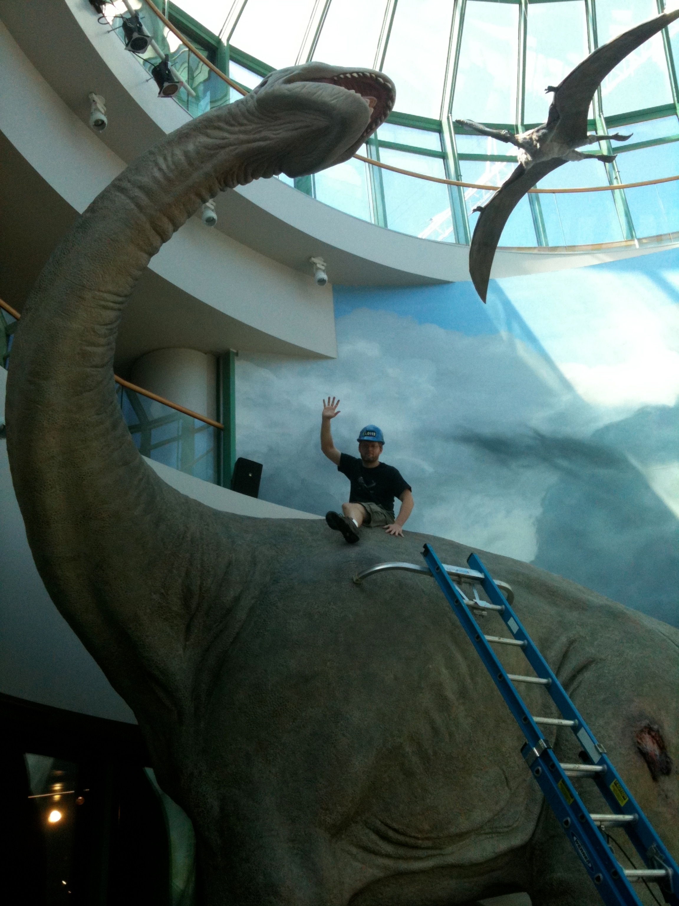 Dinosaur Culture | National Geographic