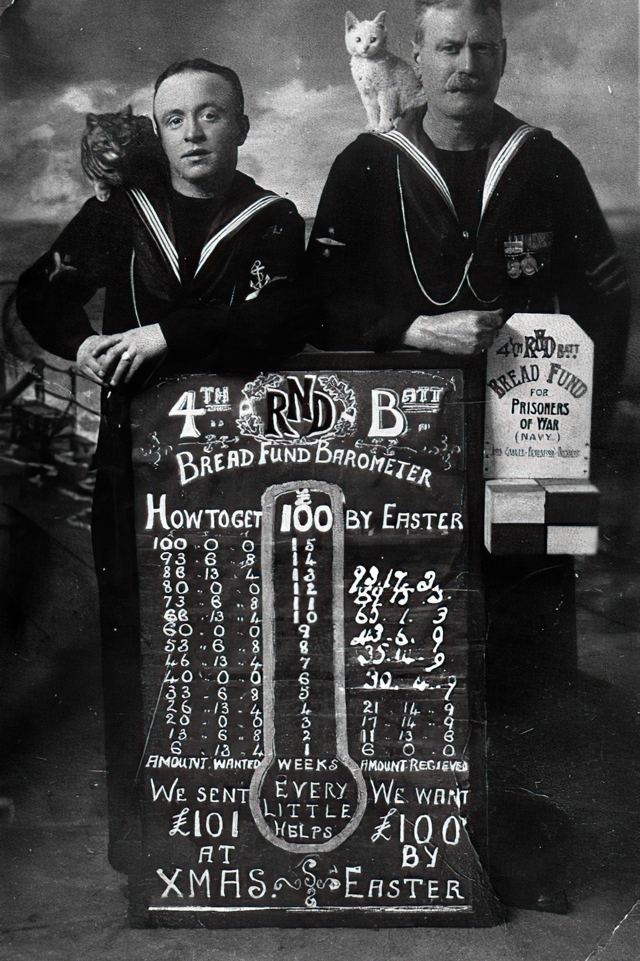 The forgotten history of cats in the navy