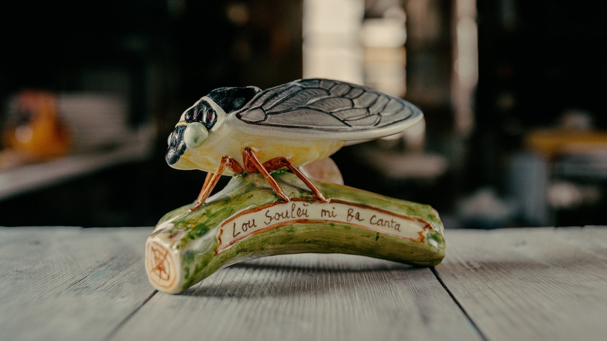 How cicadas became the soundtrack of Provence — and a symbol of rest