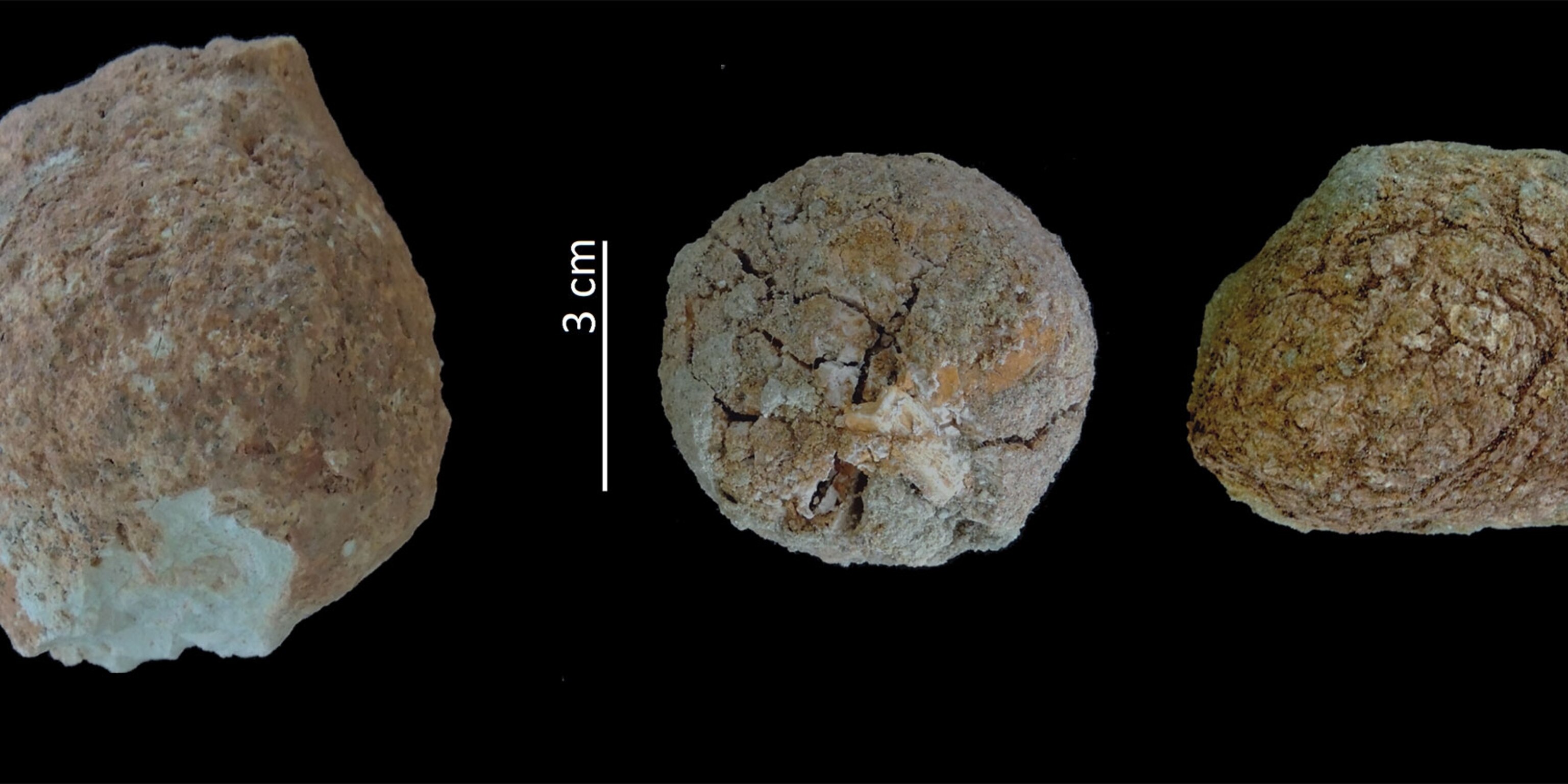 Ice Age Hyenas Left Clues About These Ancient Human Sites