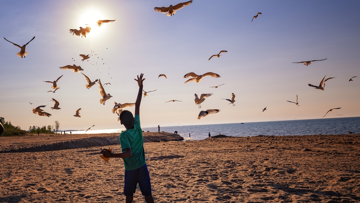 This national park draws huge crowds. The pandemic makes that burden ...