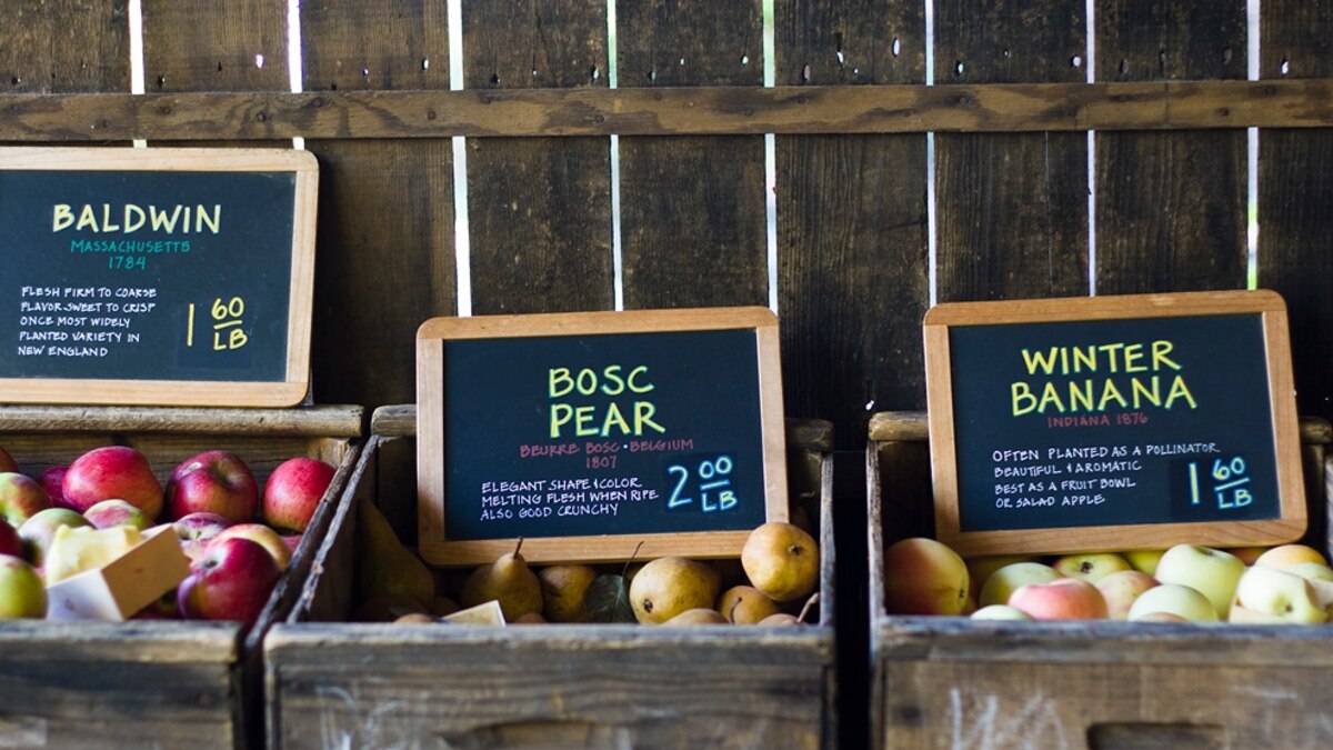 Where to Find Great Orchards -- National Geographic | National Geographic