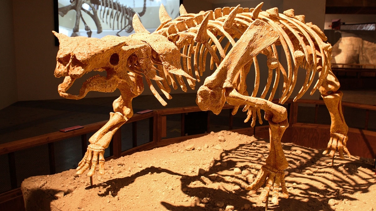 Ankylosaurs Slurped Food With Powerful Tongues | National Geographic