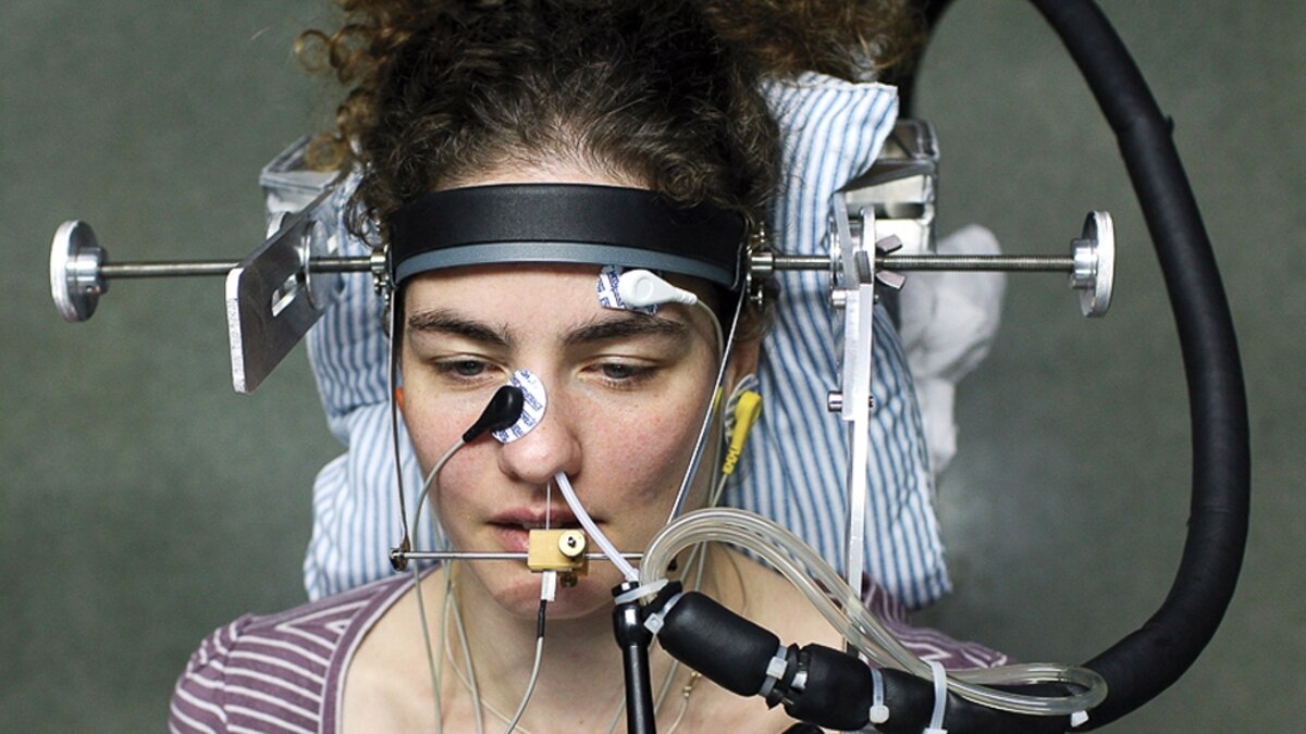 Secrets of Smell: Different Nose Parts for Stinky, Sweet | National ...