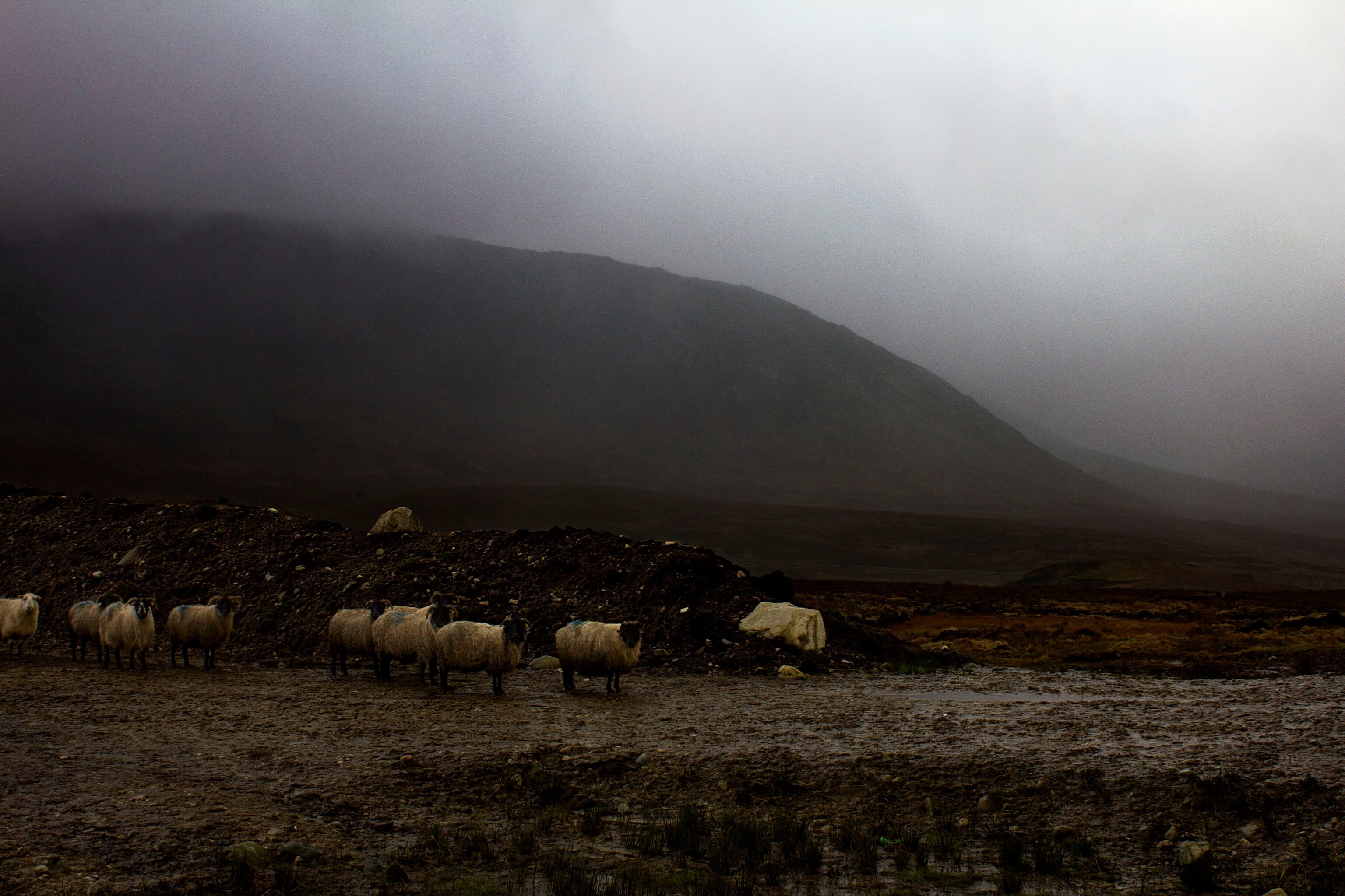 Your Ireland Photos -- National Geographic Travel