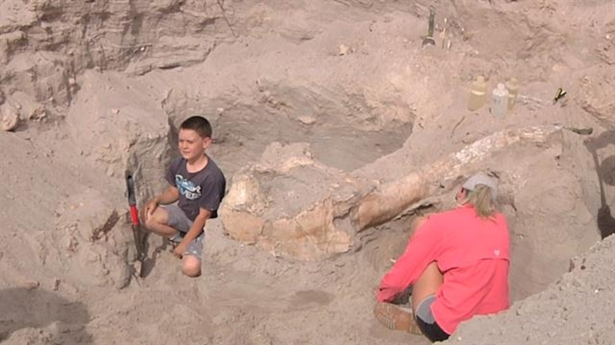 Boy Found Million-Year-Old Fossil by Tripping Over It | National Geographic