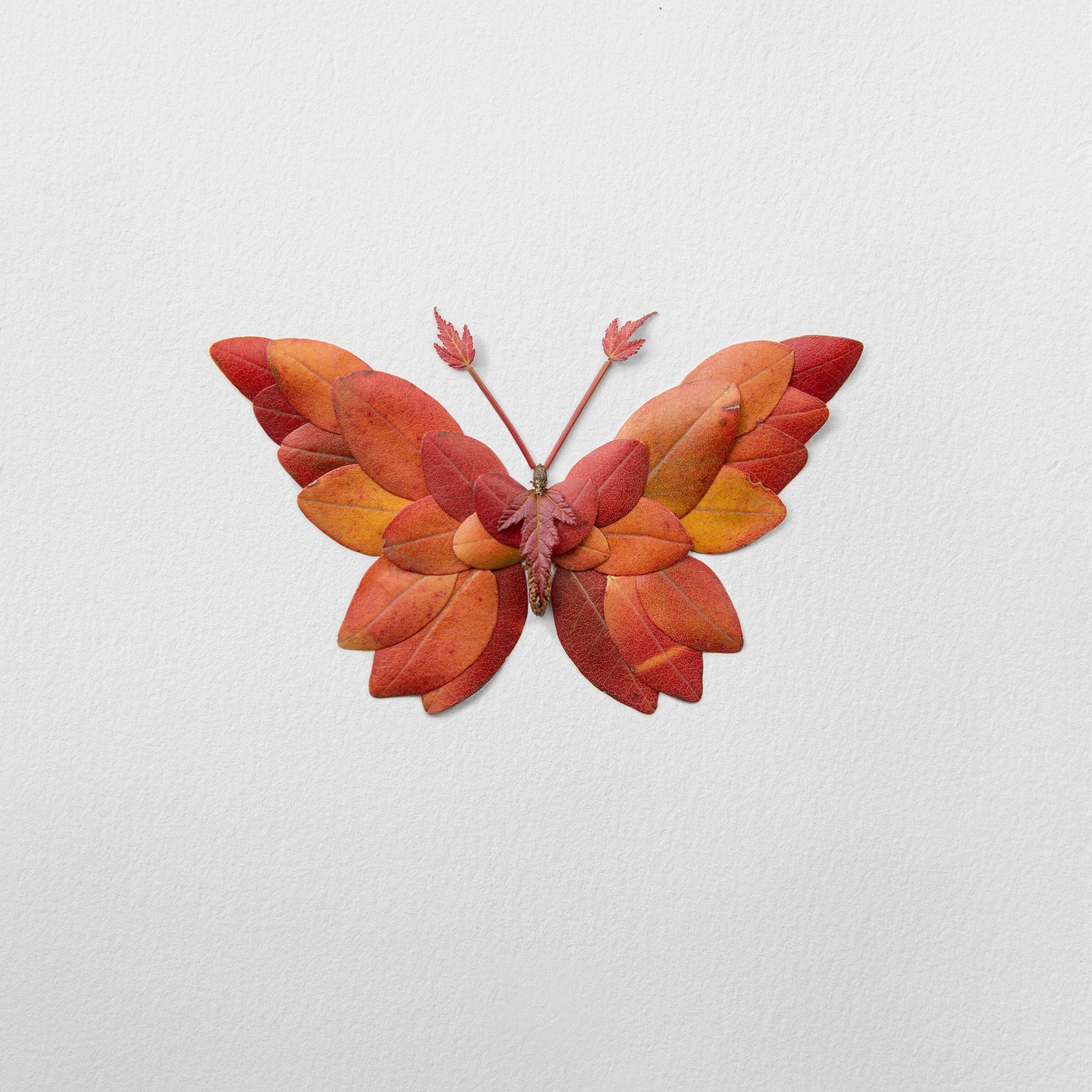 Artist Raku Inoue makes colorful insects out of plants