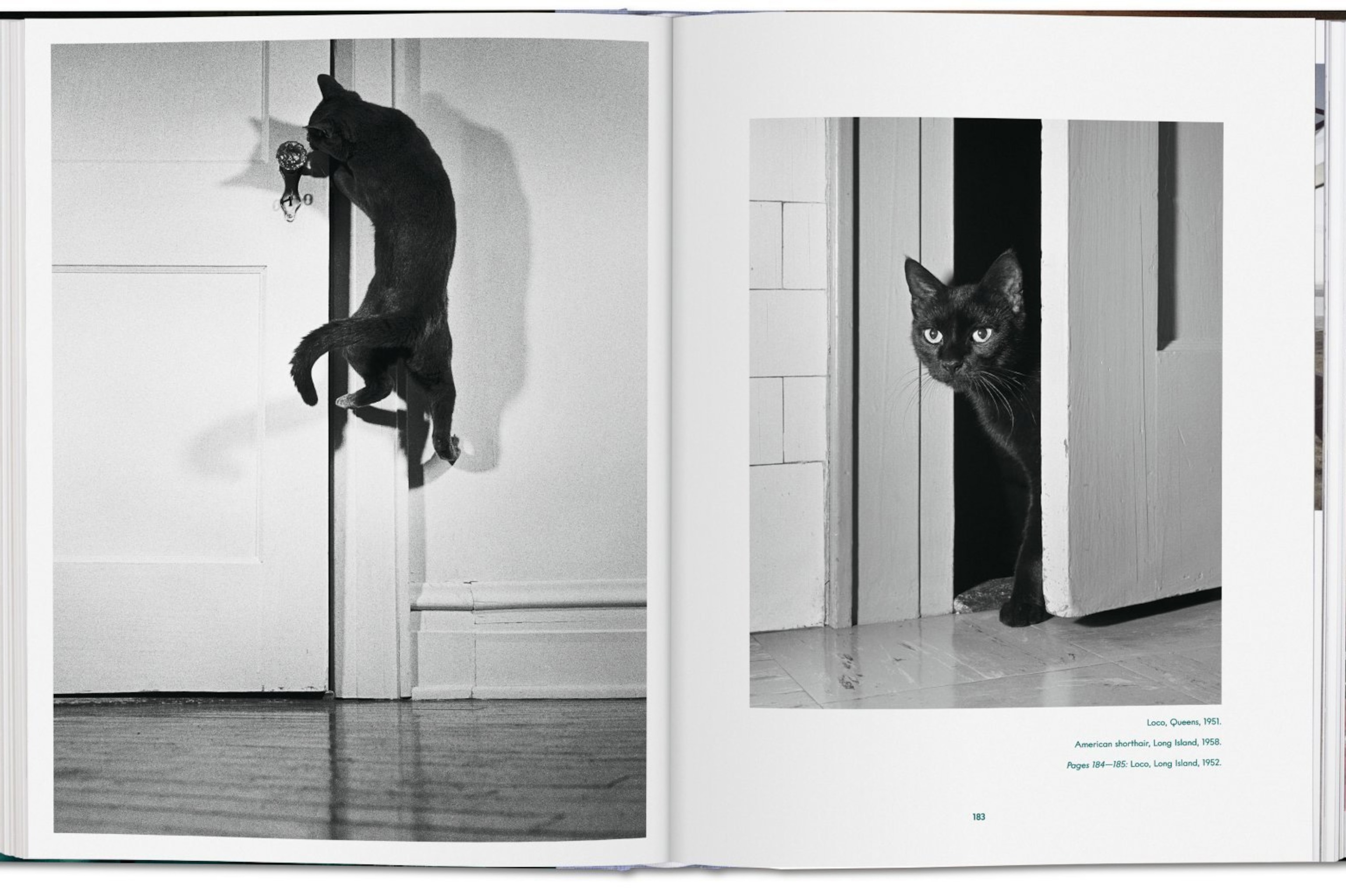 17 photo books perfect for armchair travels