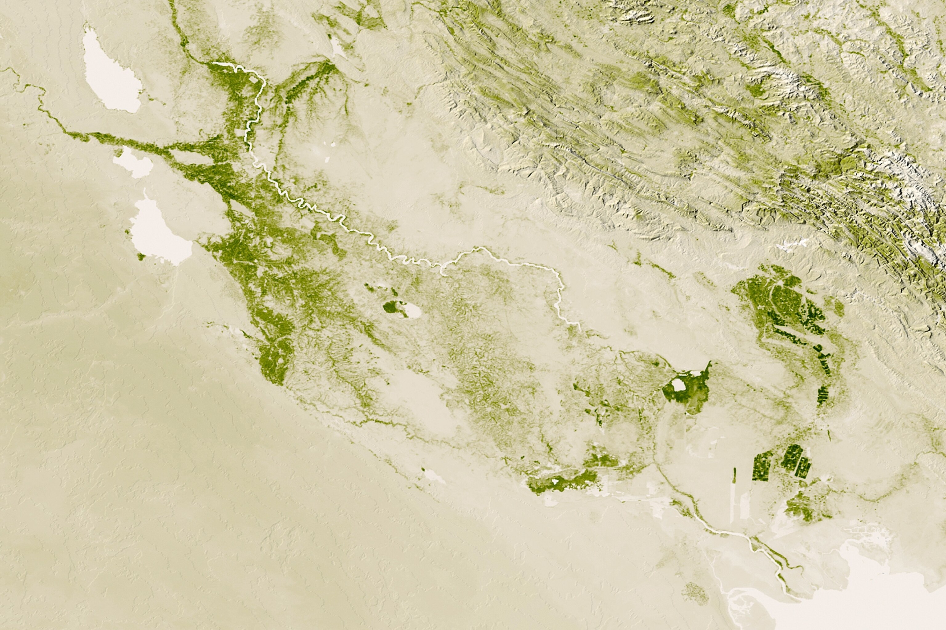 Pictures: Earth's Green Places Mapped in High Resolution