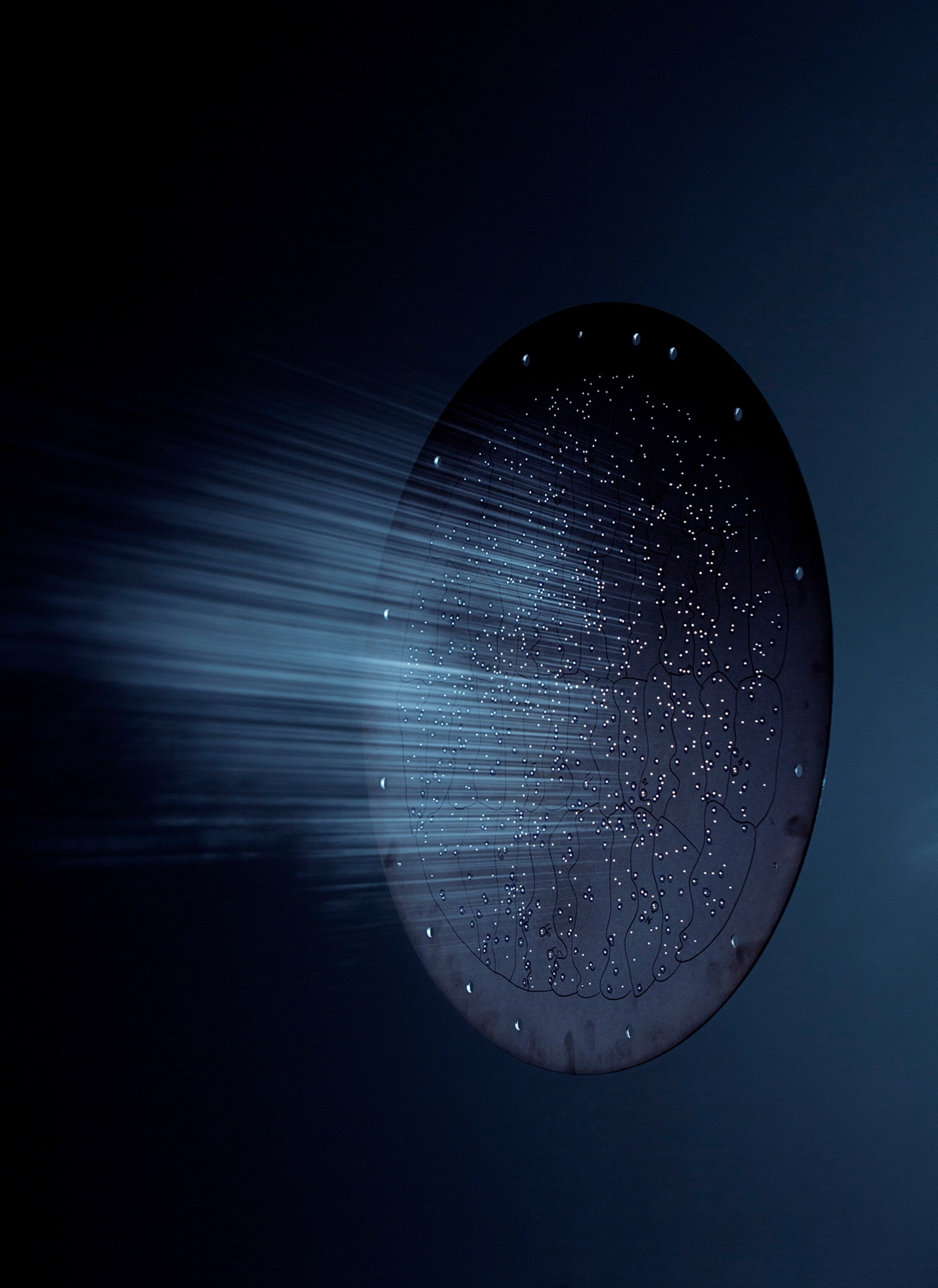 Pictures We Love: Elements of Surprise | National Geographic