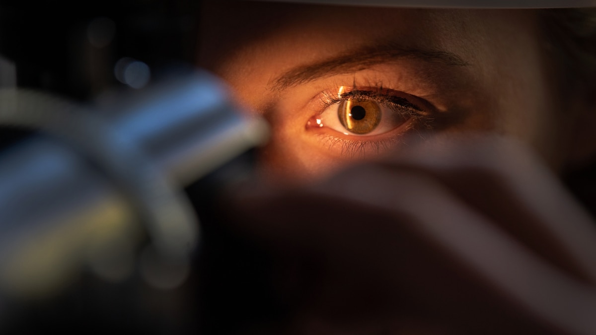 13 doctors and researchers win the Sanford and Sue Greenberg Prize to ...