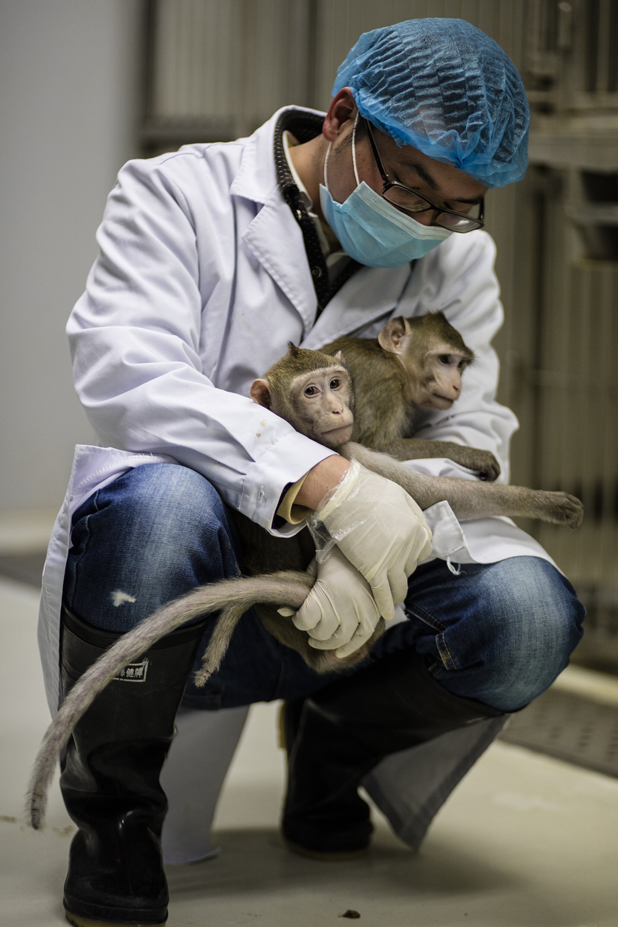 How the DNA Revolution Is Changing Us