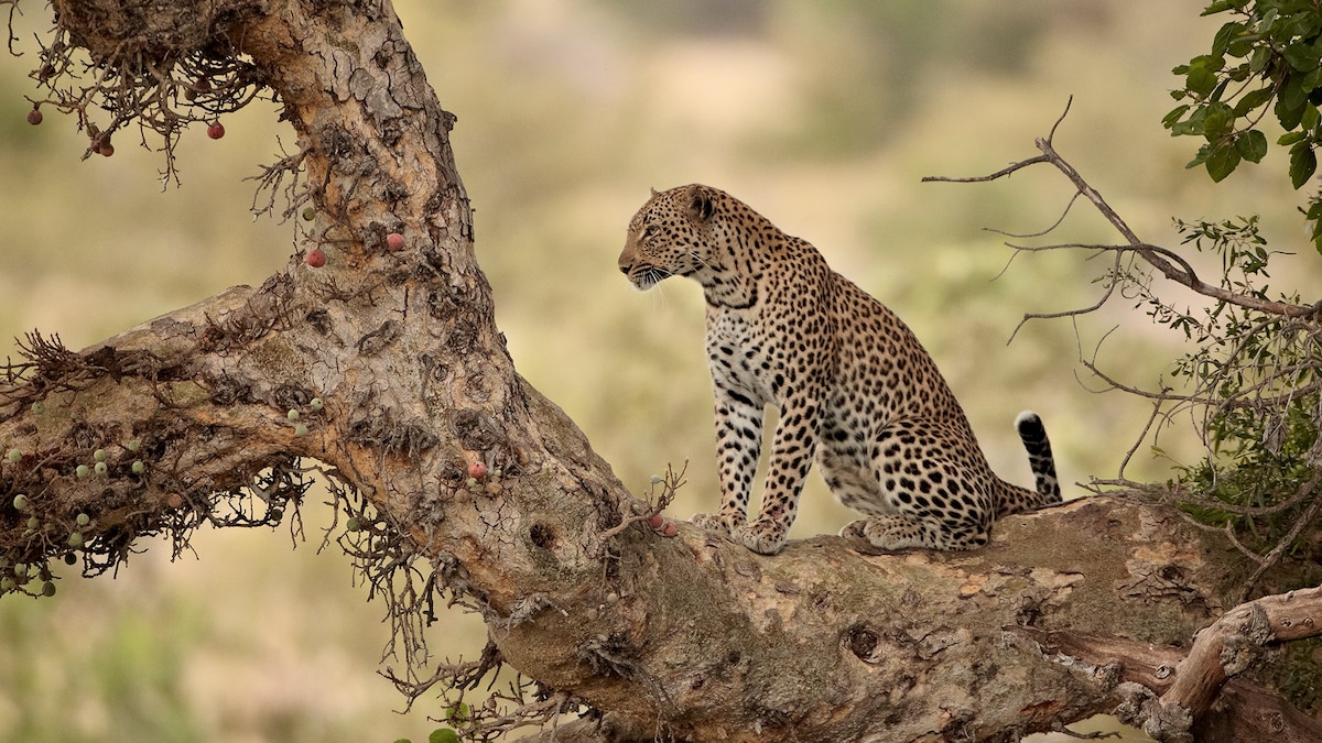 7 wild and beautiful places in South Africa | National Geographic