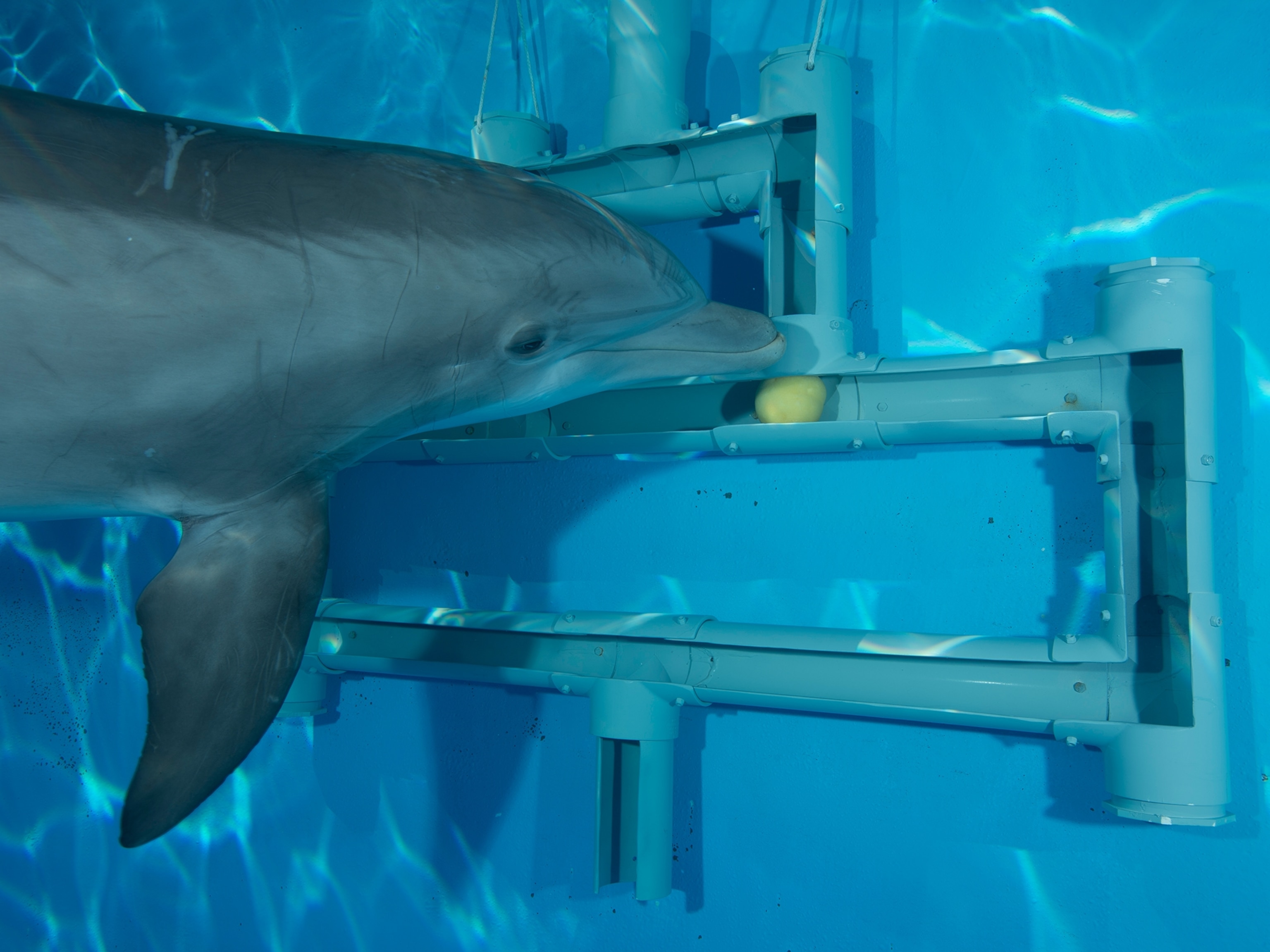 It’s Time for a Conversation