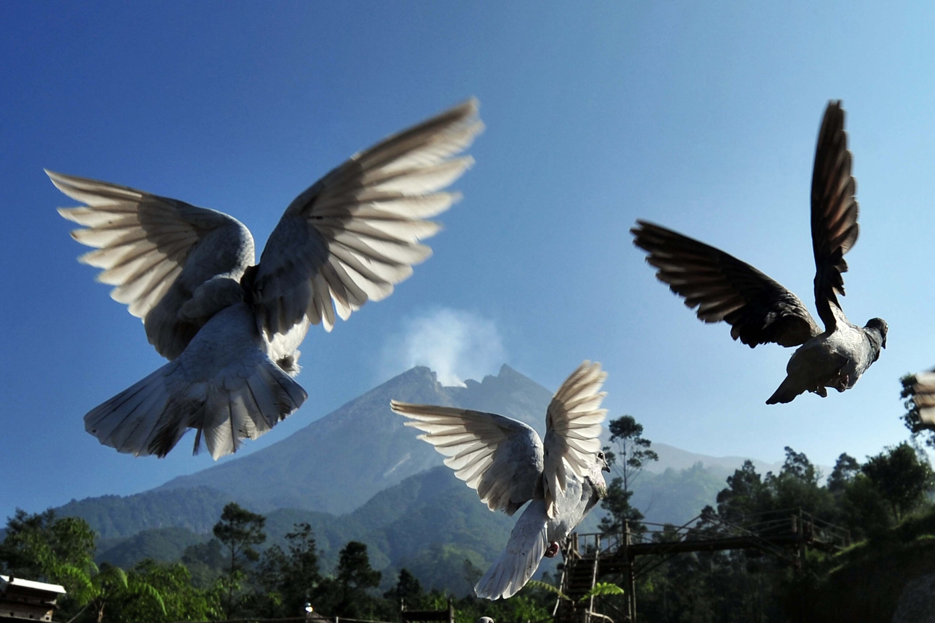 Dramatic photos of volcanoes in action around the world