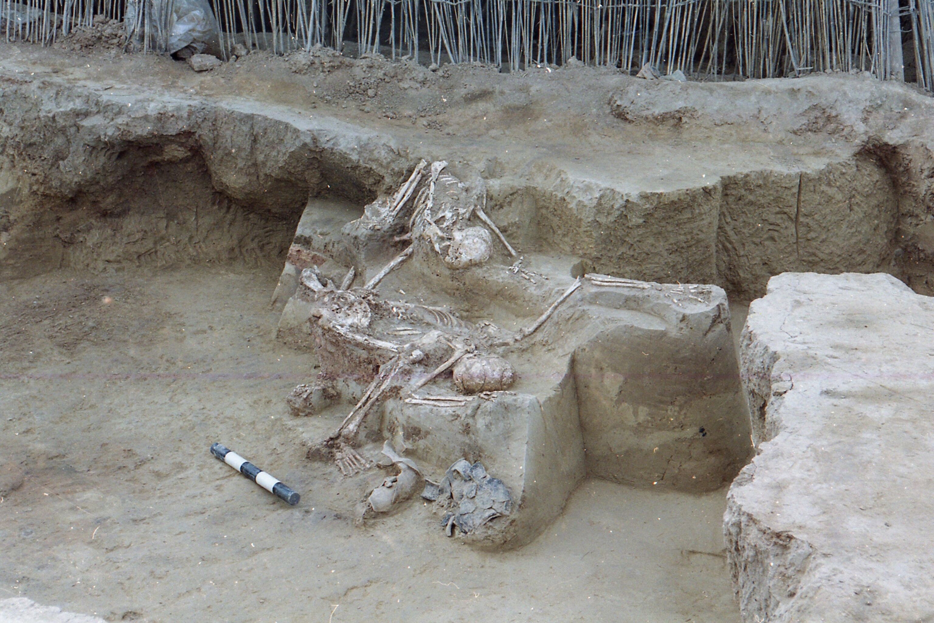 Geologic Evidence May Support Chinese Flood Legend