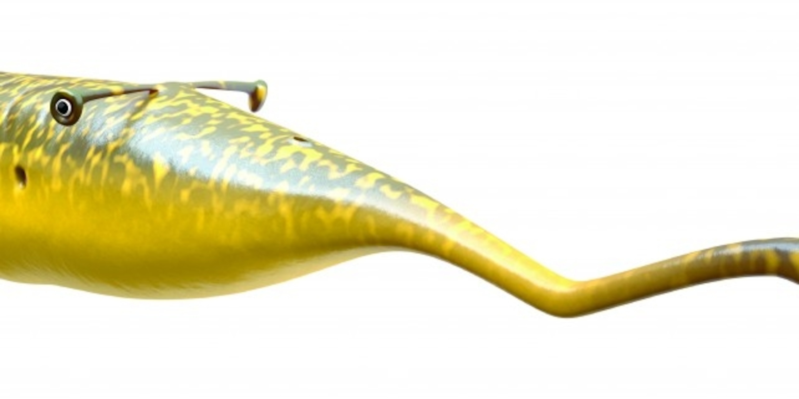 Scientists Finally Know What Kind of Monster a Tully Monster Was
