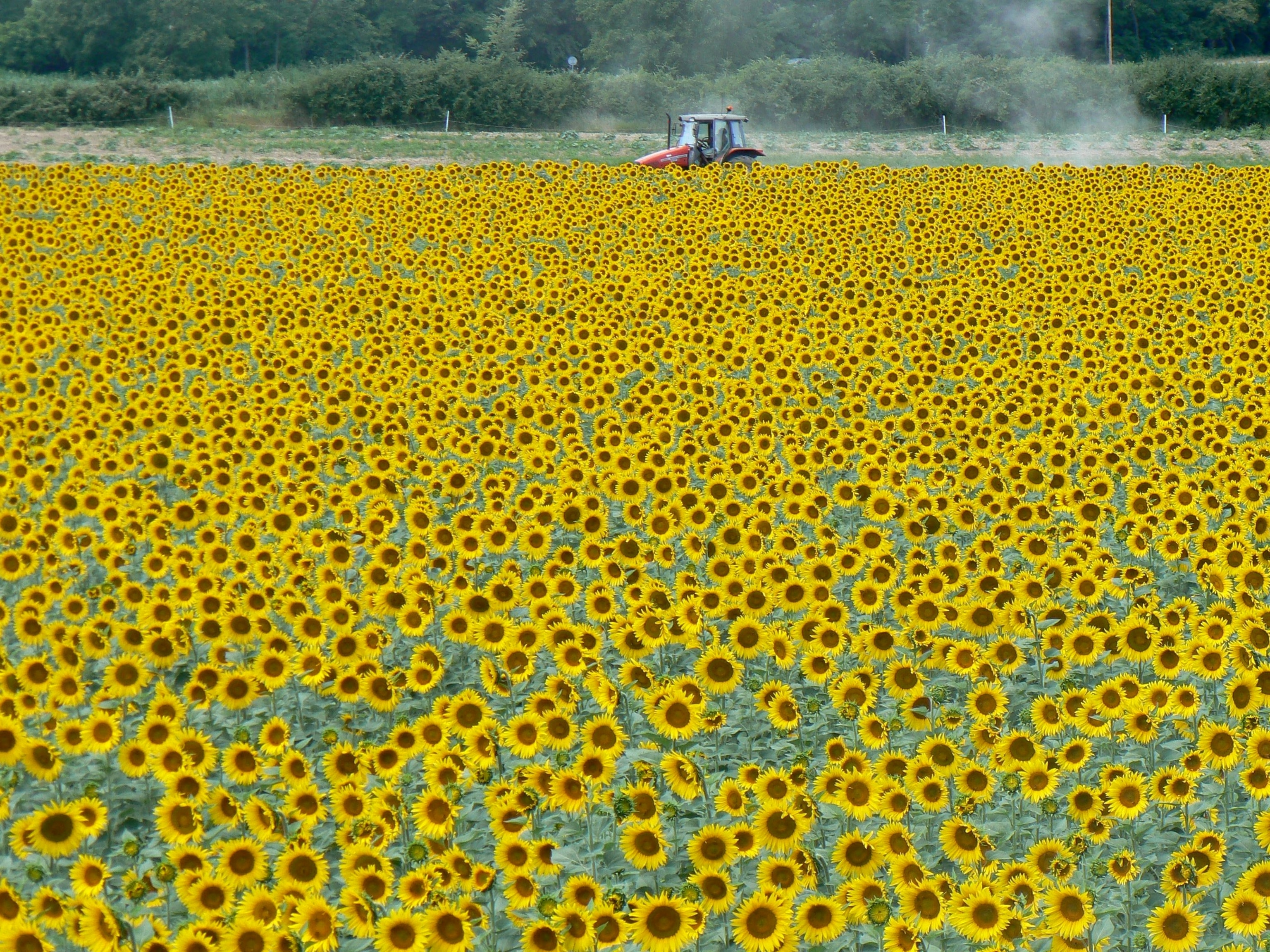 Your France Pictures