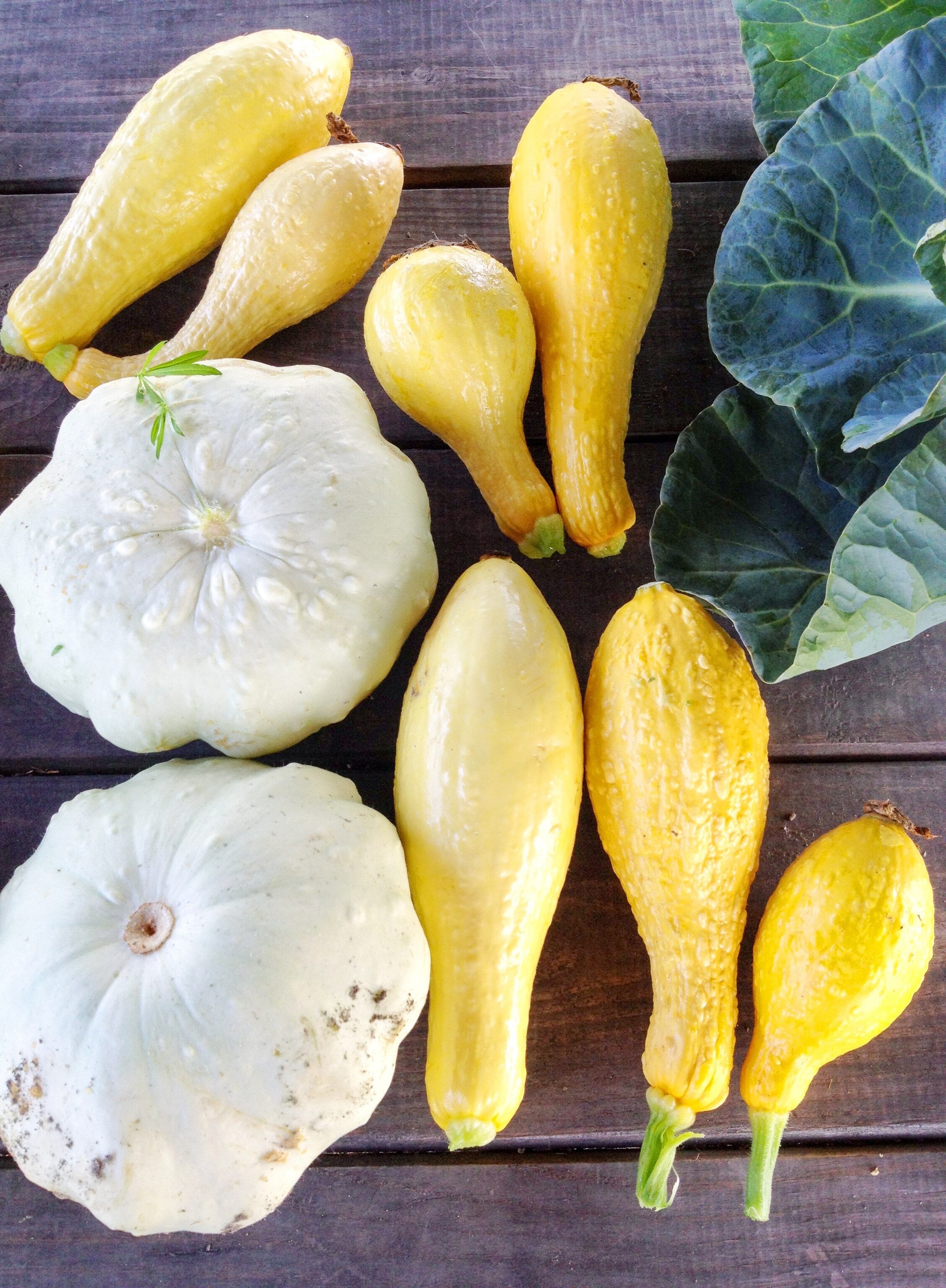 Beautiful Food, Beloved Farmers: Here’s to the Hands That Plant the ...