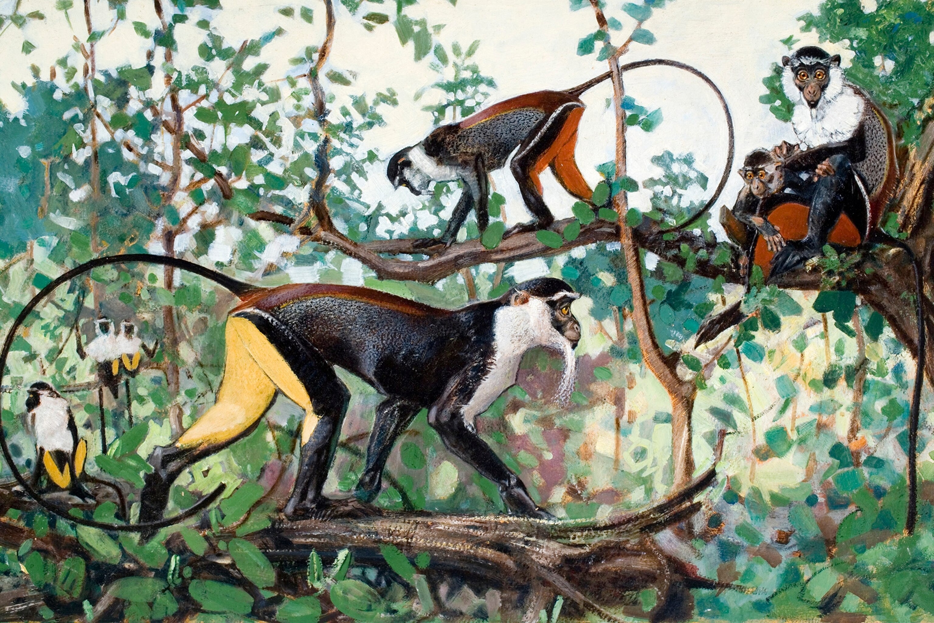 The Animal Cost of War and Chocolate