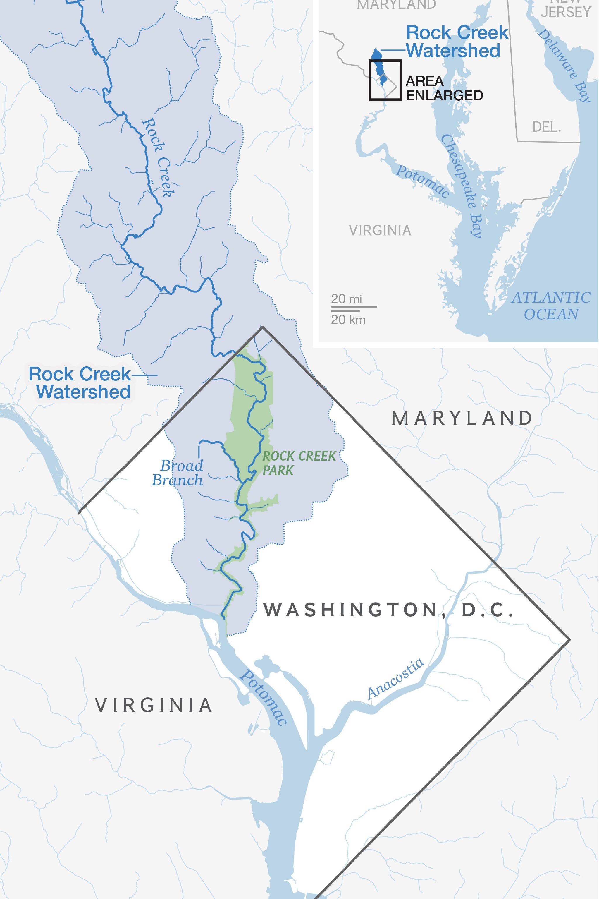 In New Drainage Projects, Long-Buried Urban Streams See the Light Again