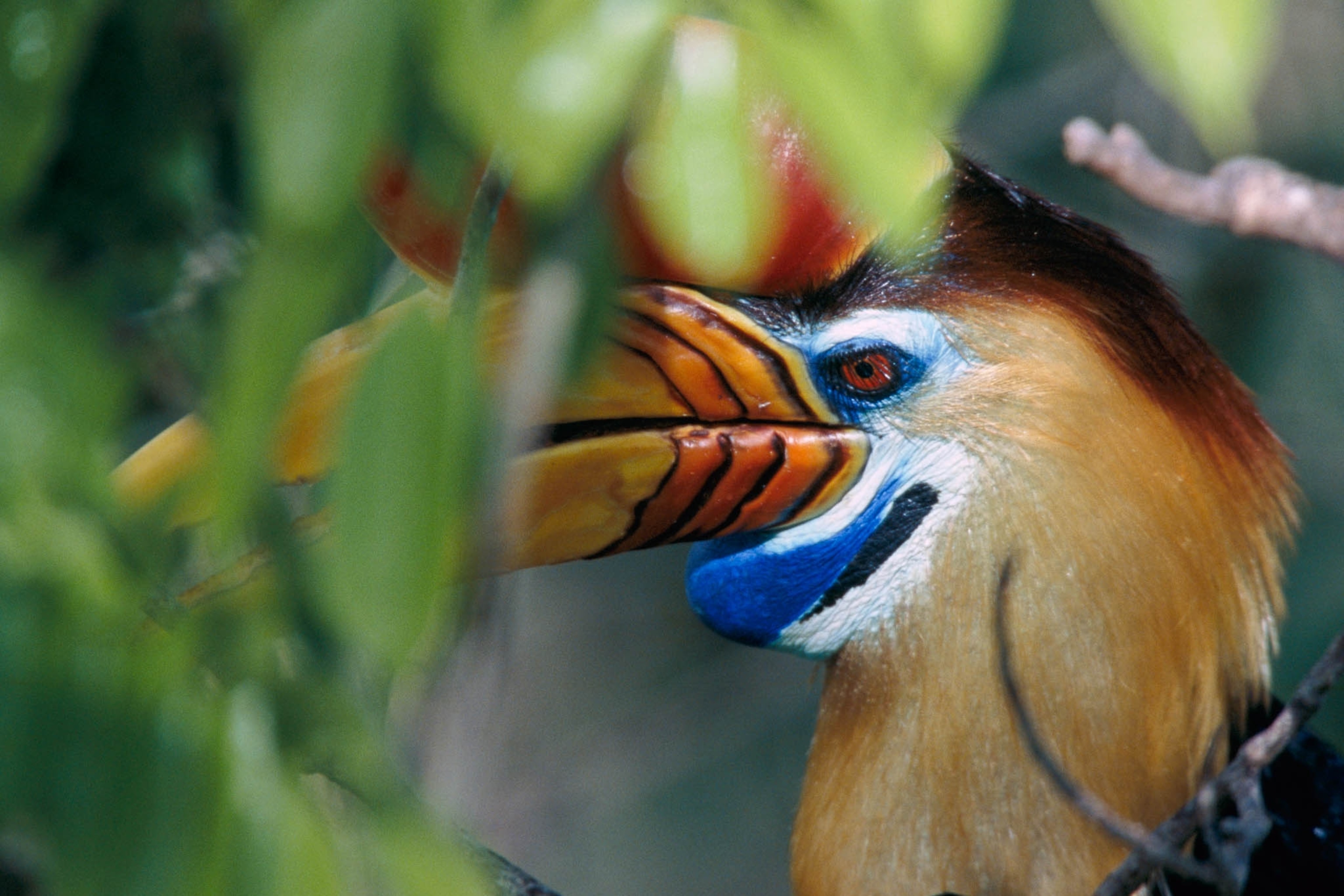 30 colorful photos from the Nat Geo archives that will catch your eye